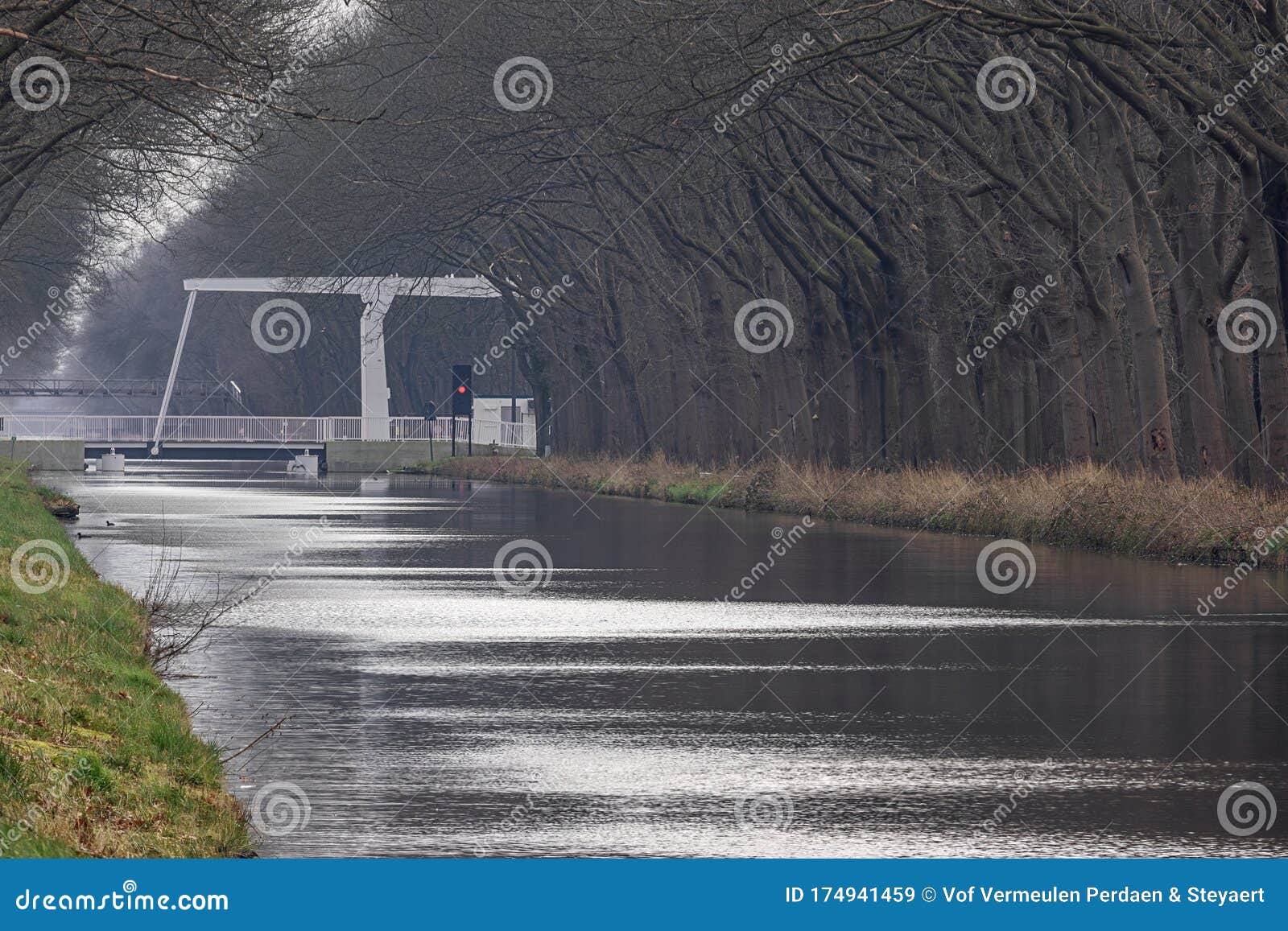 Dark Tree Branches Hanging Over a Canal Stock Image - Image of ...