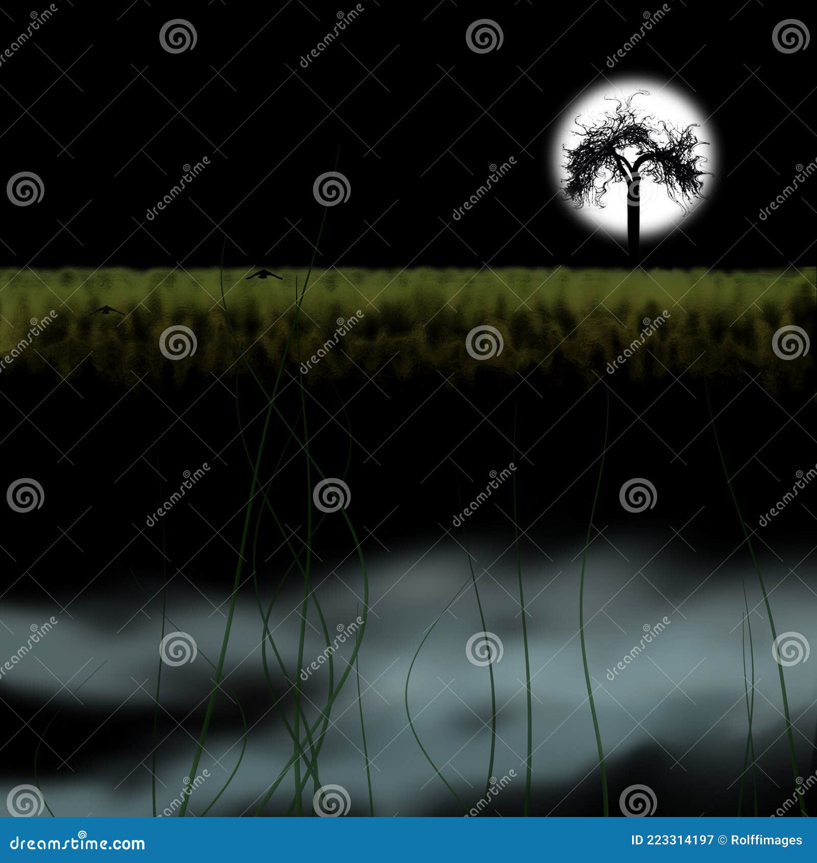 Dark Tree Tops In Heavy Morning Fog Landscape, Forest Background ...