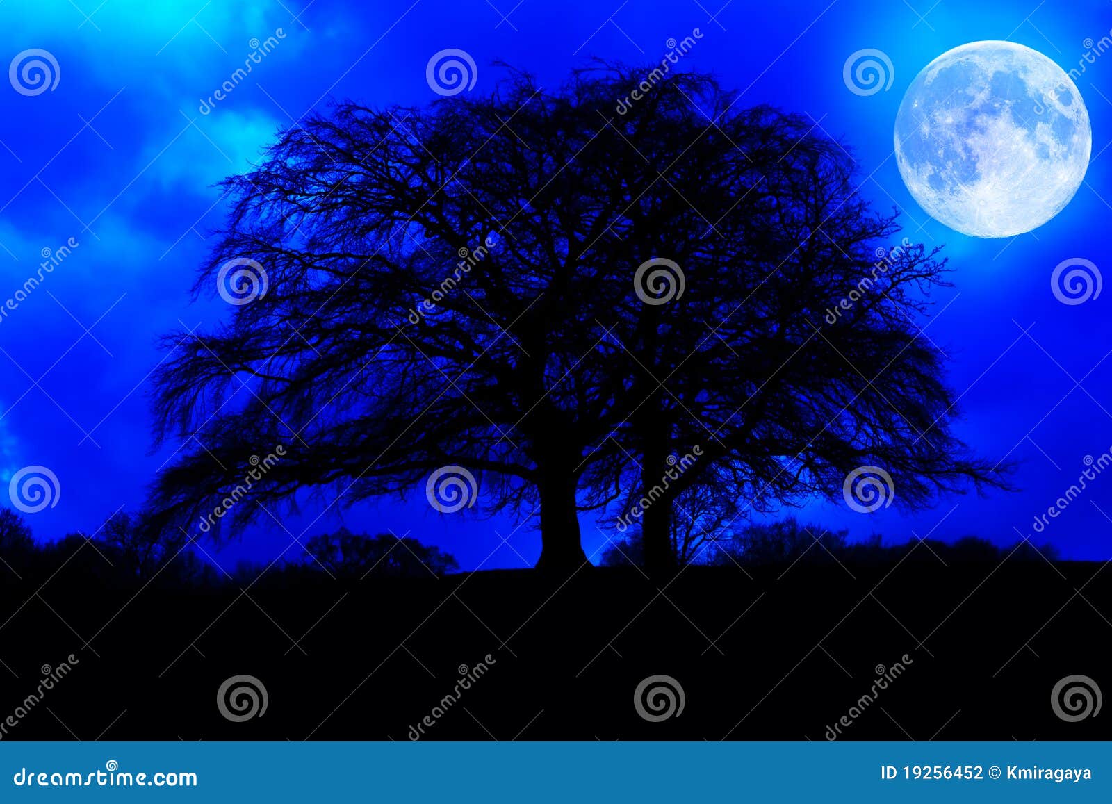 Dark Tree Bark Texture Stock Image | CartoonDealer.com #37583125