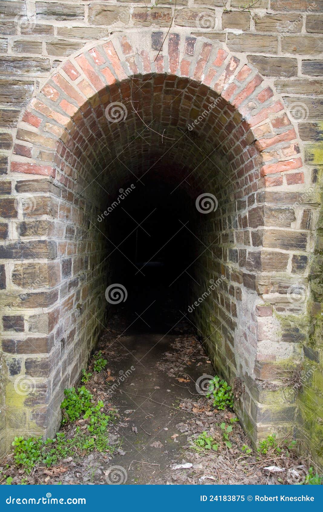 Dark tunnel stock image. Image of shelter, entrance, nature - 24183875