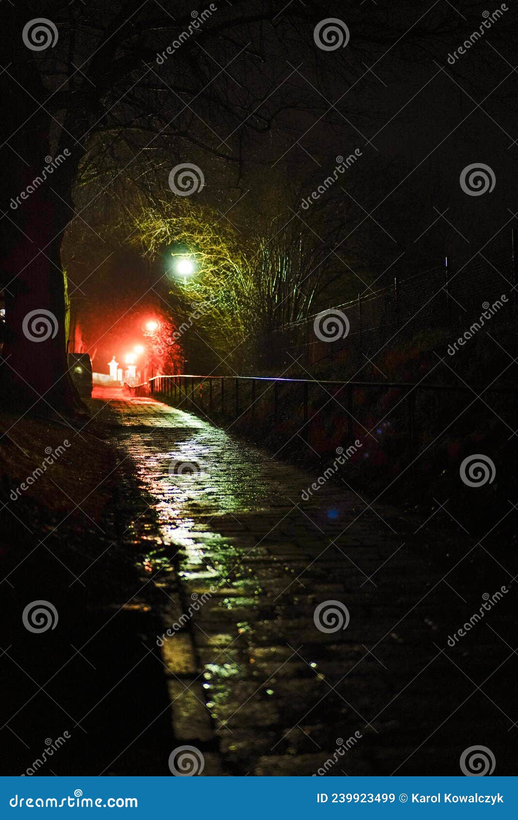 Dark view on path to light stock image. Image of green - 239923499