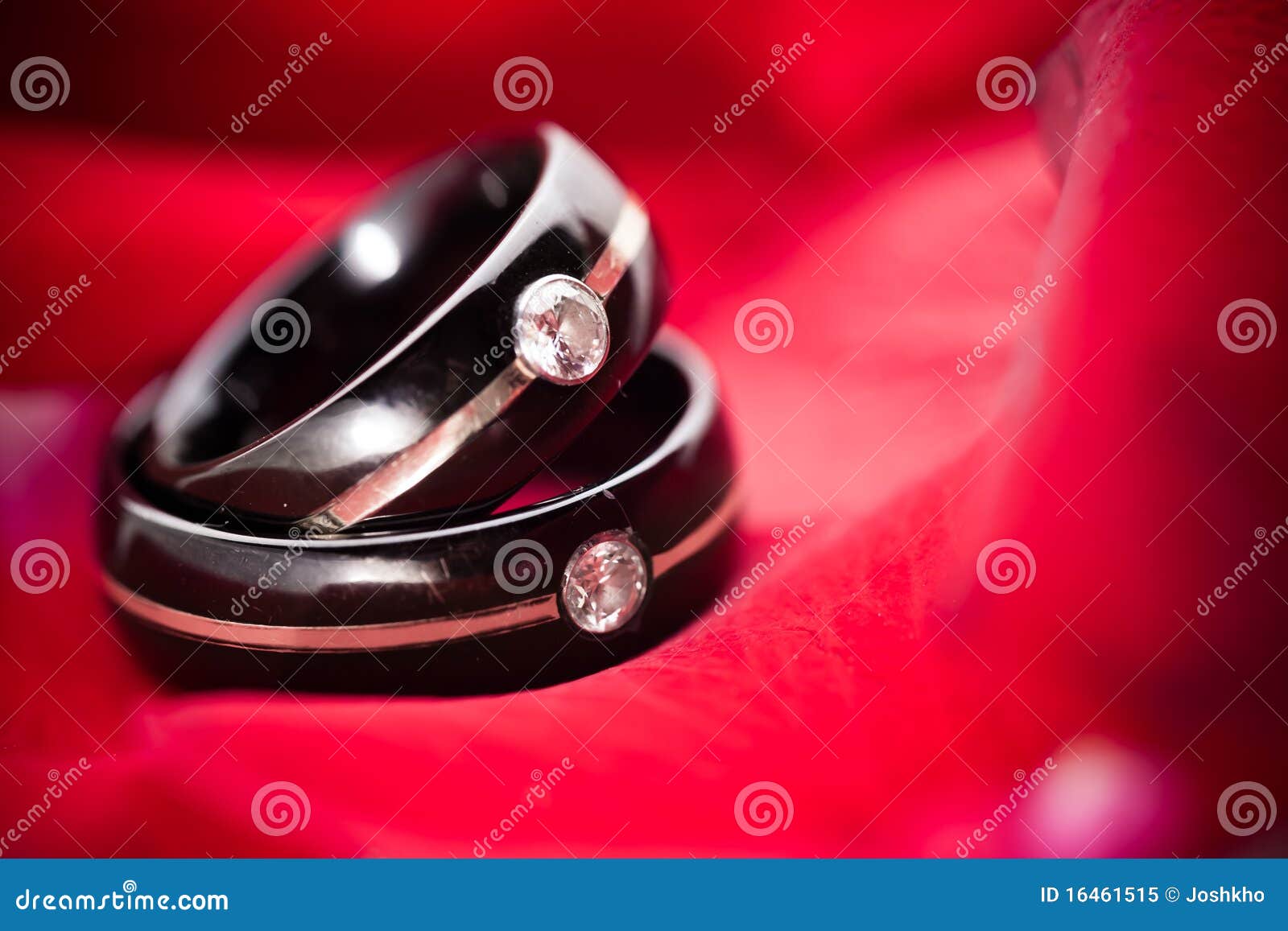 Dark Wedding Rings on Red Petals Stock Image - Image of flower ...