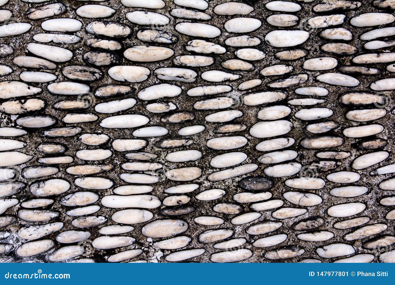 Pebbles Floor on Concrete Texture Background. Pebbles Background.Gravel ...