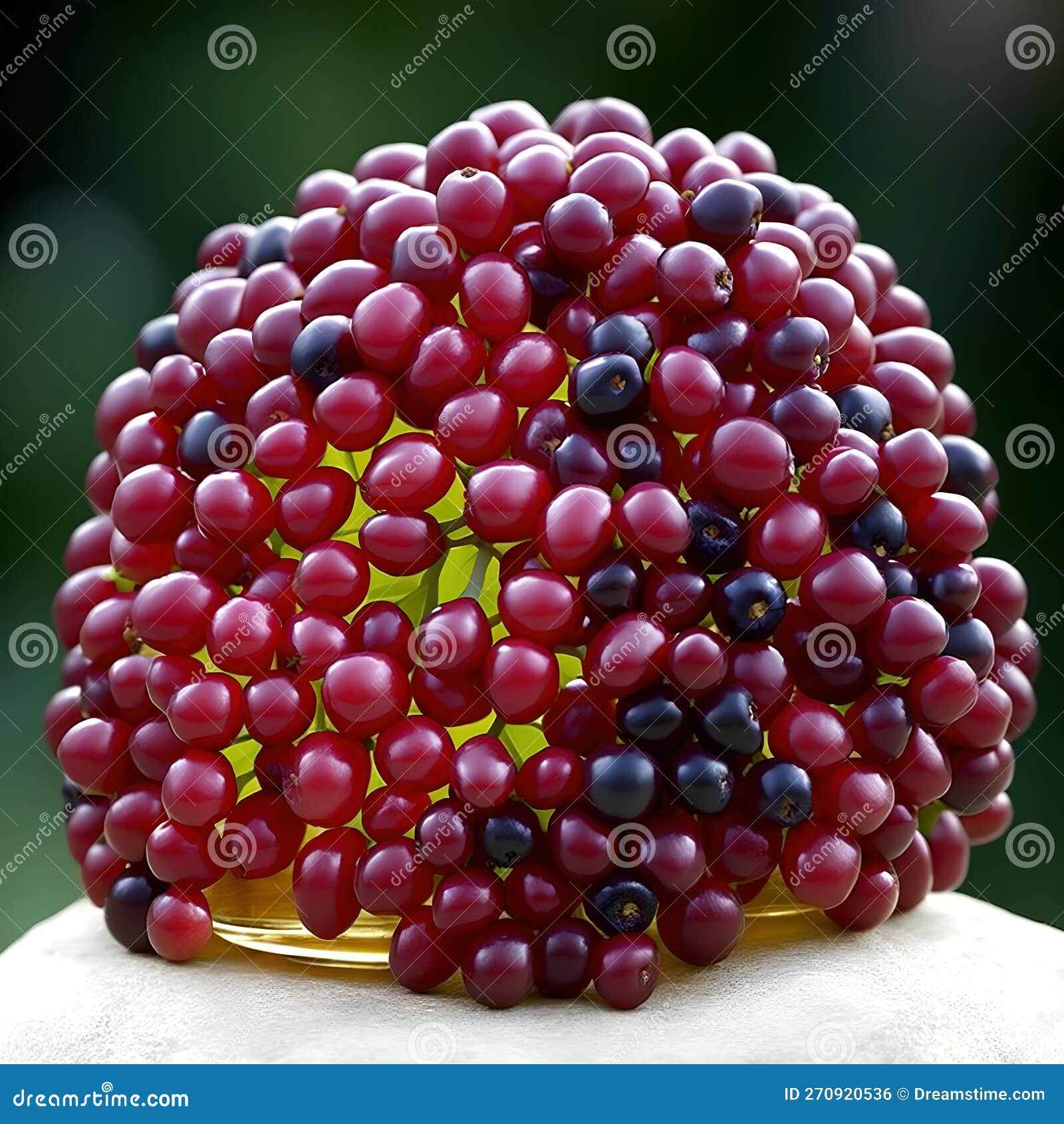 Dark Wild Red Berries Fruit on Close Up 3D Illustration Stock ...
