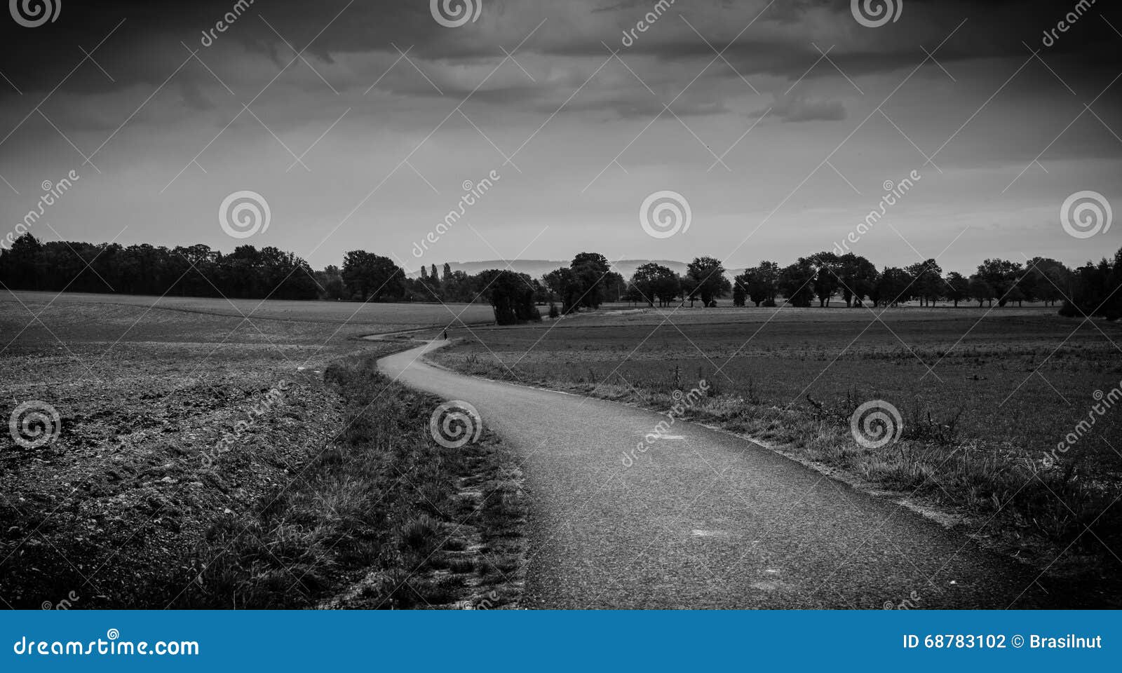 Dark and Windy Path in the Autumn Stock Photo - Image of trees, green ...