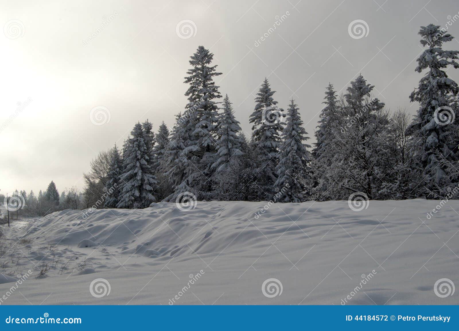 Dark winter landscape stock photo. Image of december - 44184572