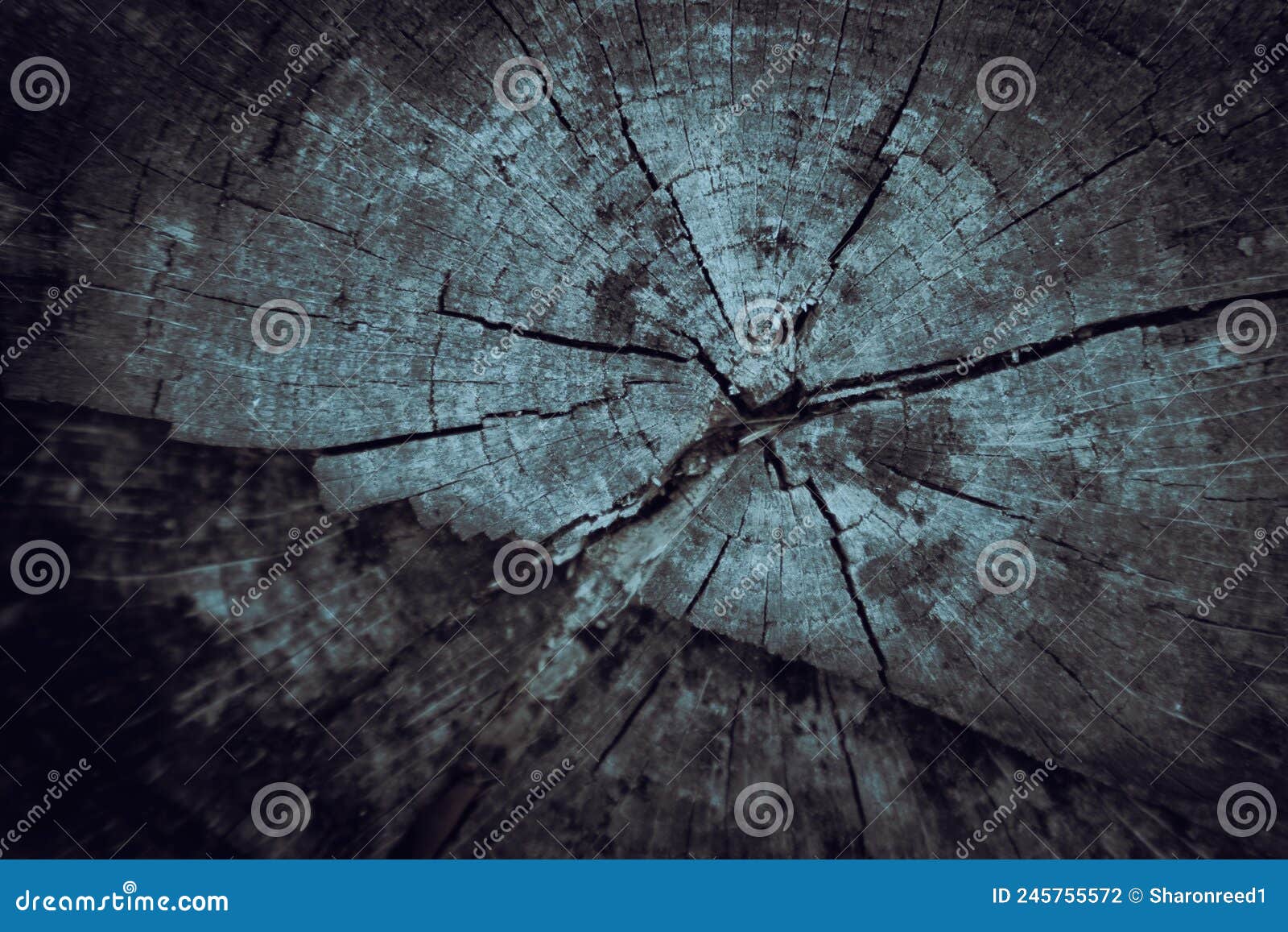 Dark Wood Cracked Texture Background Horror Theme Stock Photo - Image ...