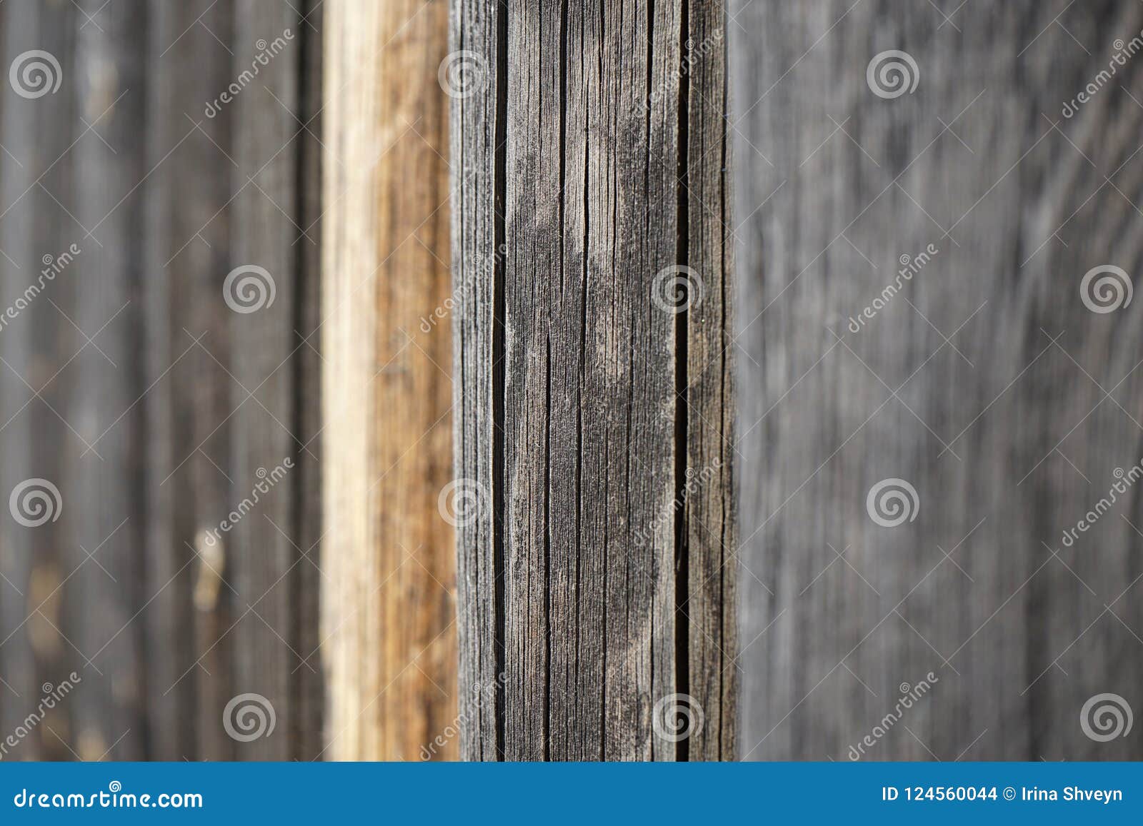 Texture of Dark Wood. the Tree is Old. Stock Photo - Image of pattern ...