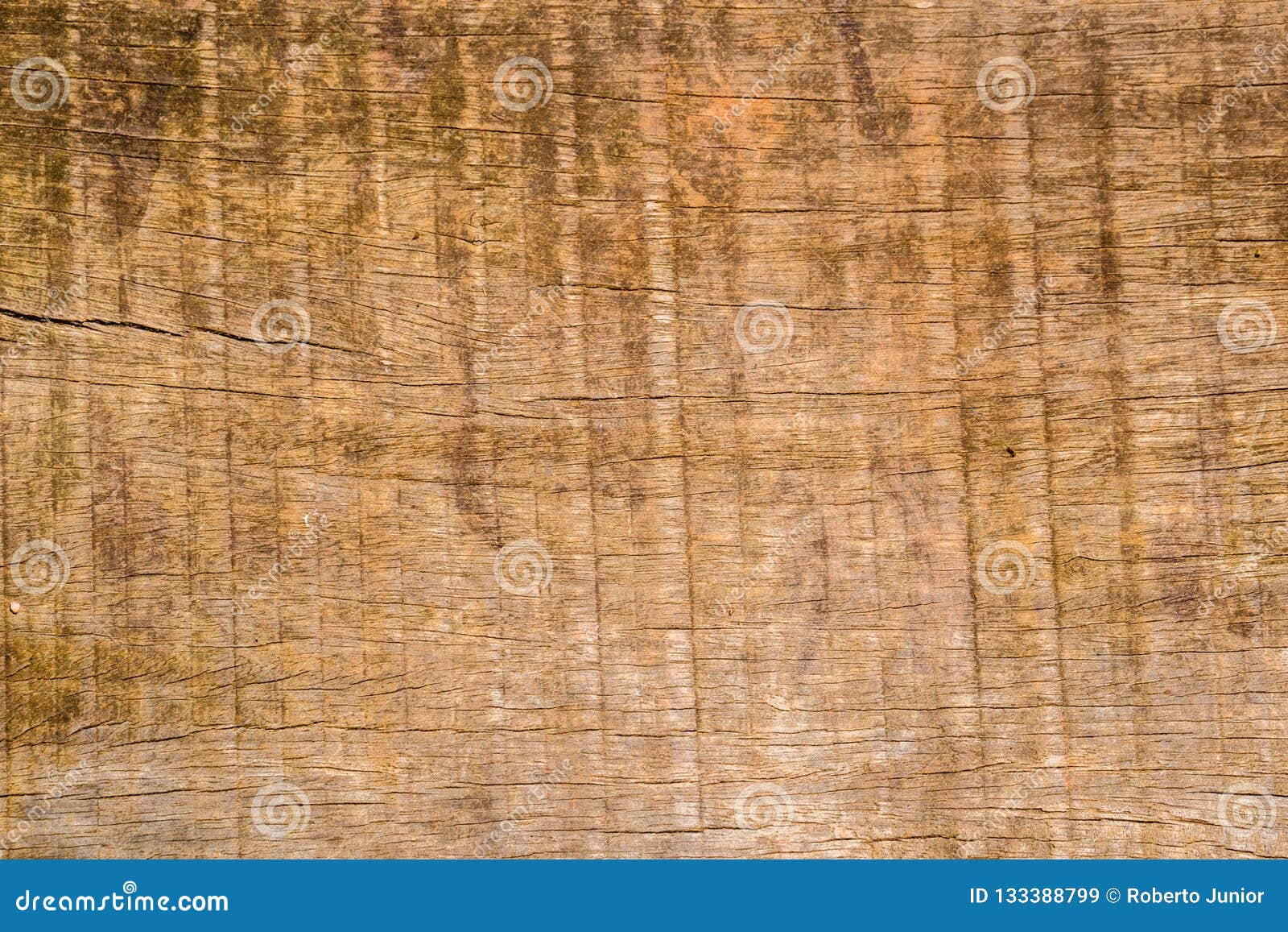 Real Wood Texture Image Background Stock Image - Image of backdrop ...