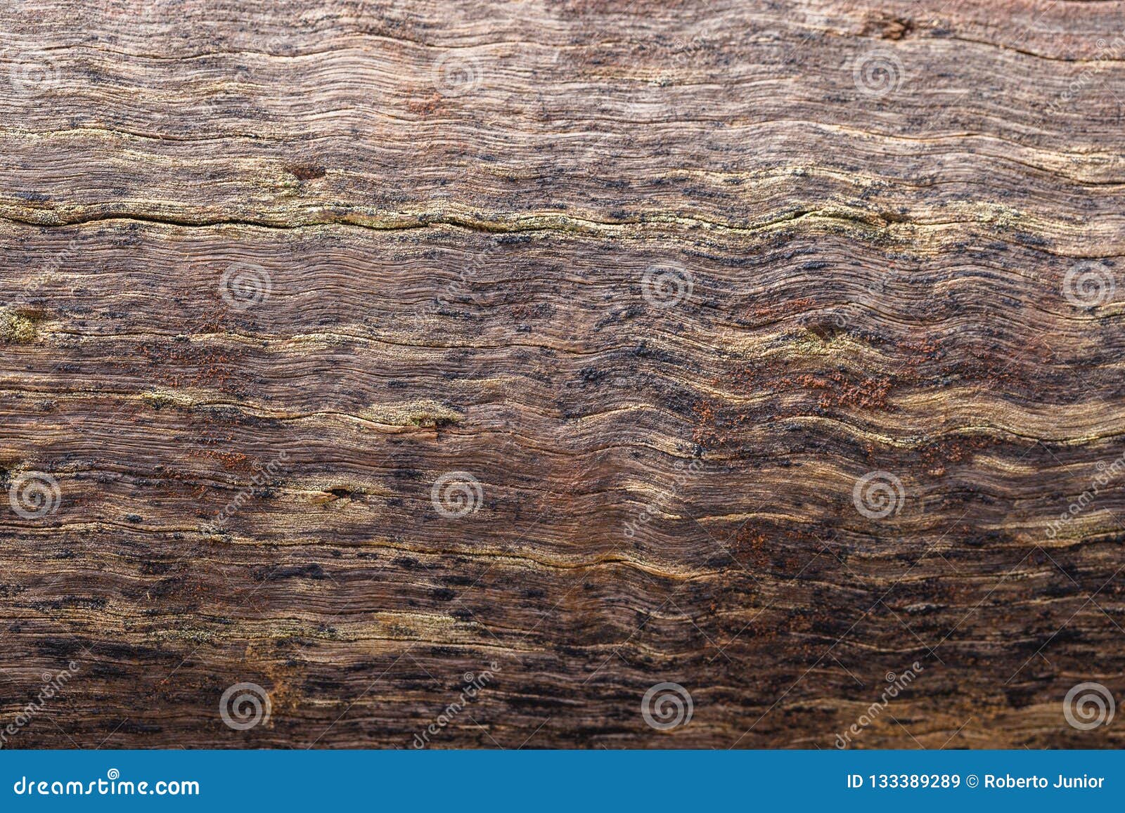 Real Wood Texture Image Background Stock Image - Image of wall, natural ...