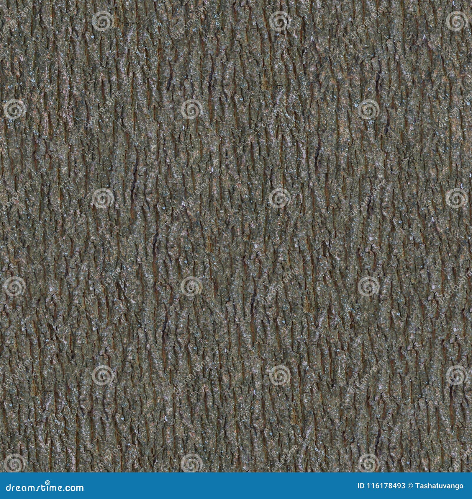 Elm Bark. Seamless Texture. Stock Photography | CartoonDealer.com #29559140