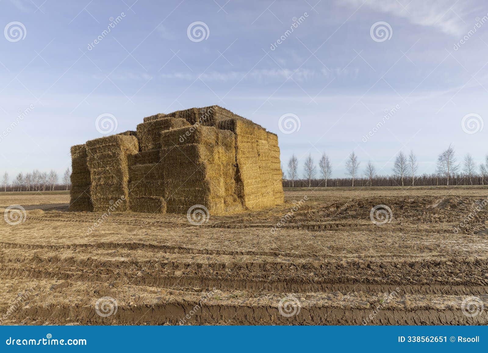Hay Storage In Field Near Farm, Aerial View. Haystacks Prepared For ...