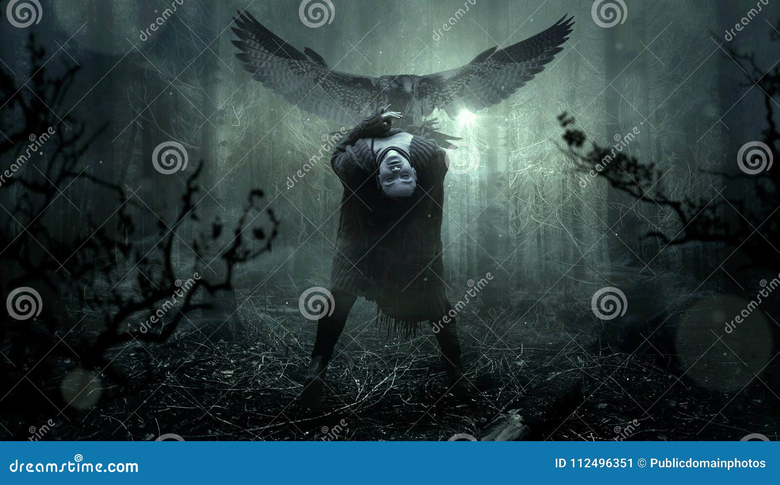 Darkness, Visual Effects, Phenomenon, Forest Picture. Image: 112496351