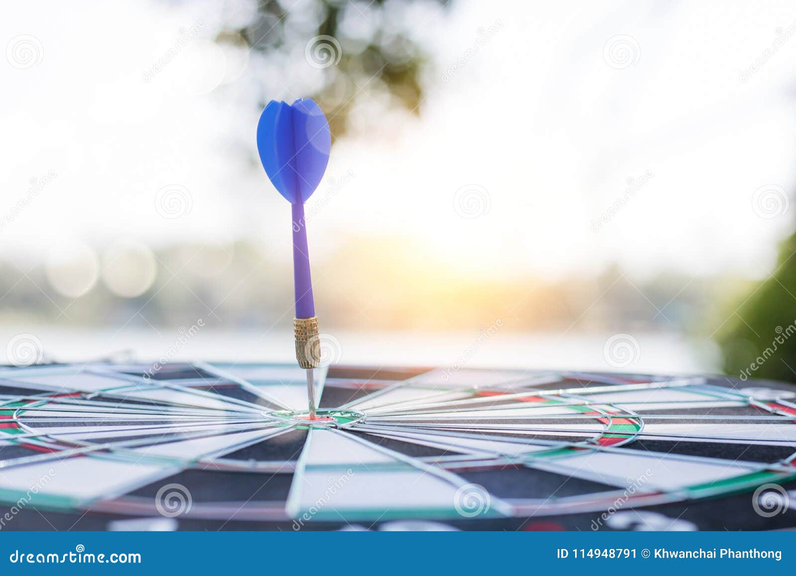 Dart on Board with Green Nature Background, Concept As Success Stock ...
