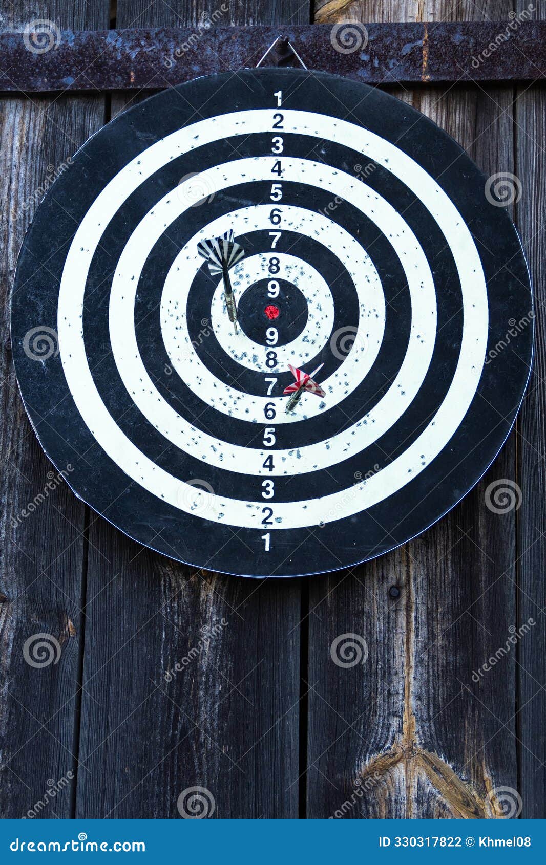 Dartboard Against Old Tree Background. Two Darts Hit the Target of a ...