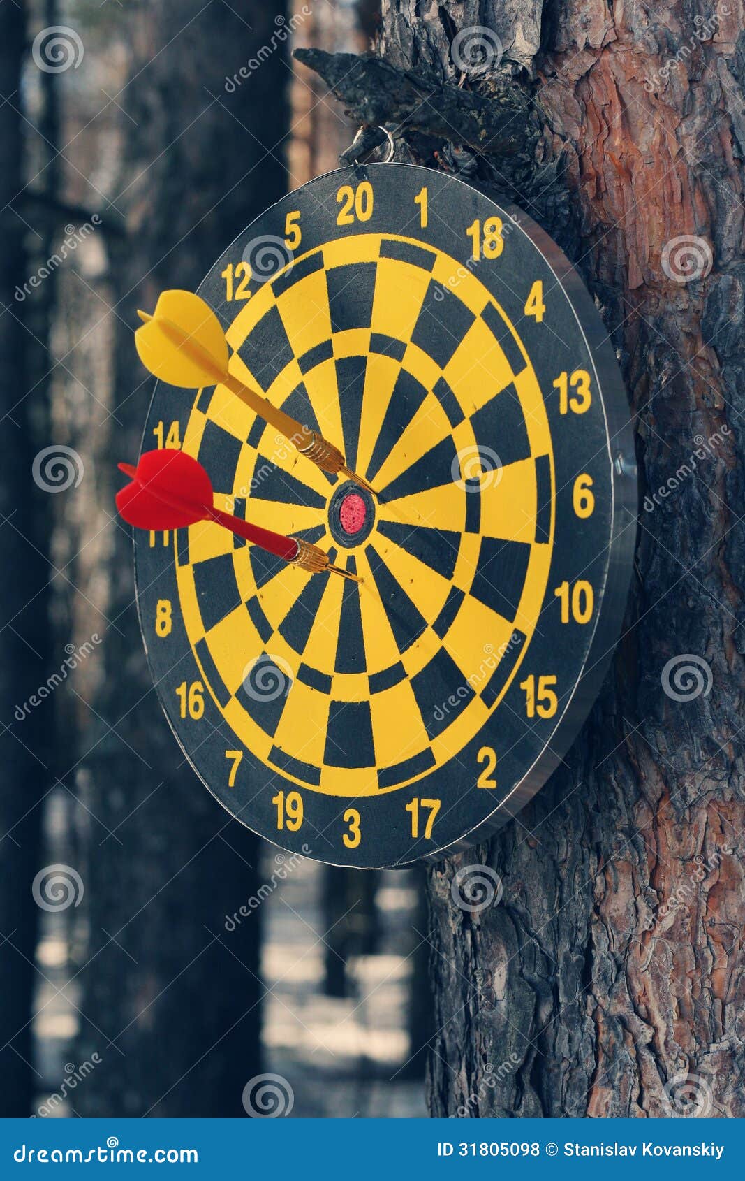 Darts on a tree stock photo. Image of woods, darts, outside - 31805098
