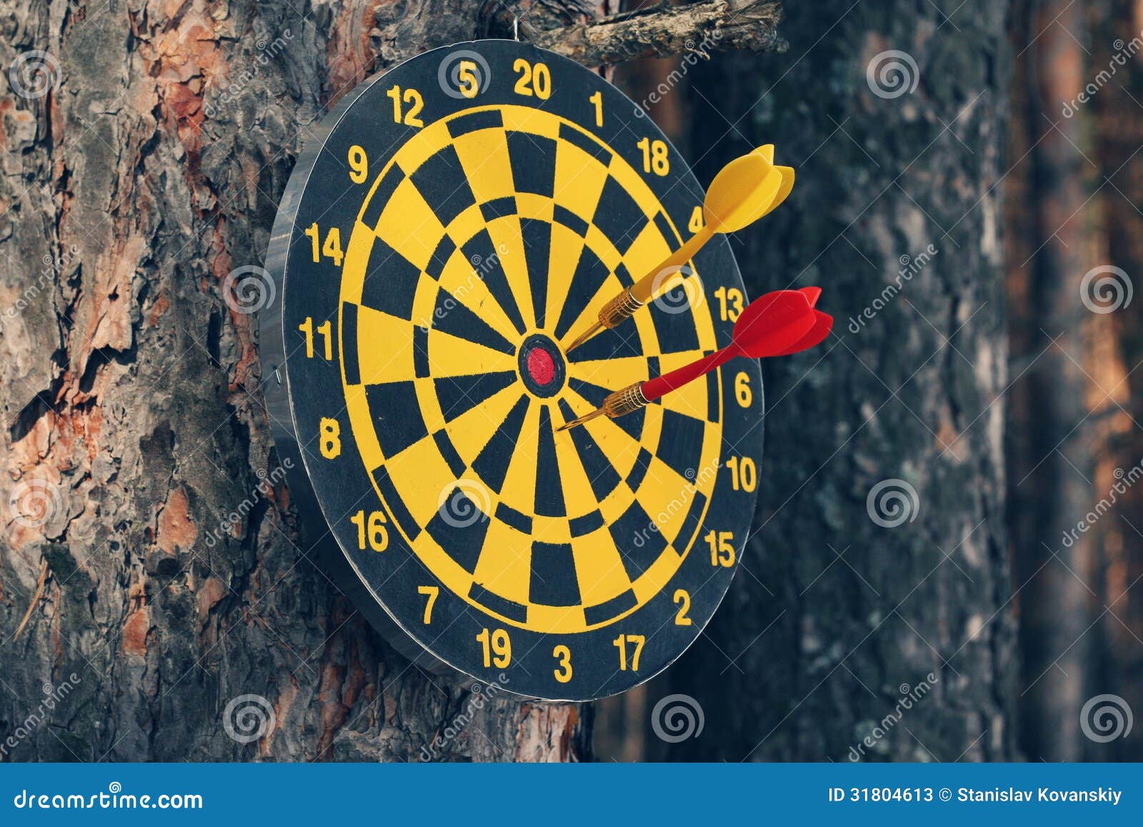 Dartboard and Darts on a Tree Stock Image - Image of woods, forested ...