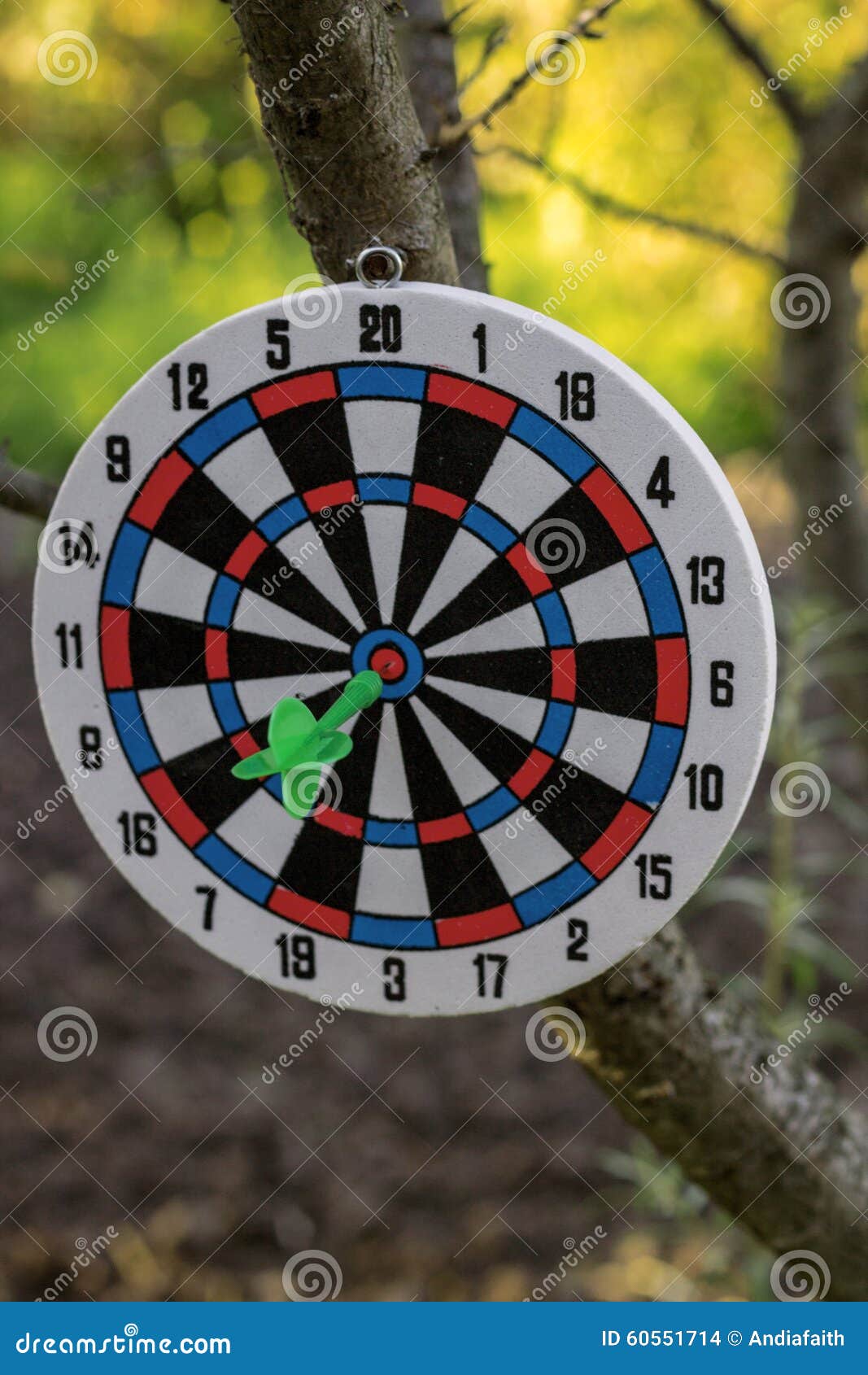 Dartboard on Tree. Dart in Center of Target Stock Photo - Image of ...