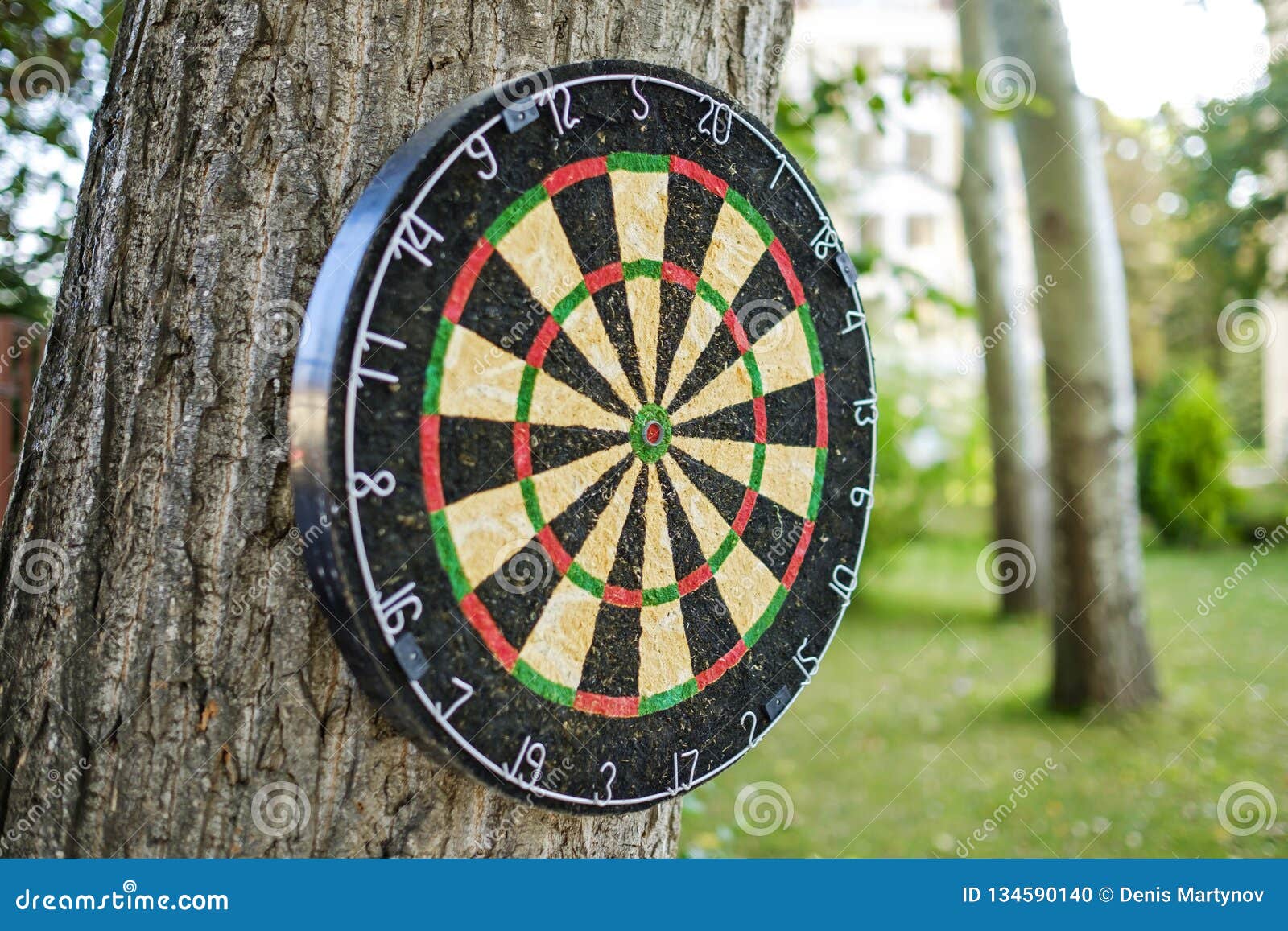 Dartboard in the Yard on the Tree 3 Stock Photo - Image of bull ...
