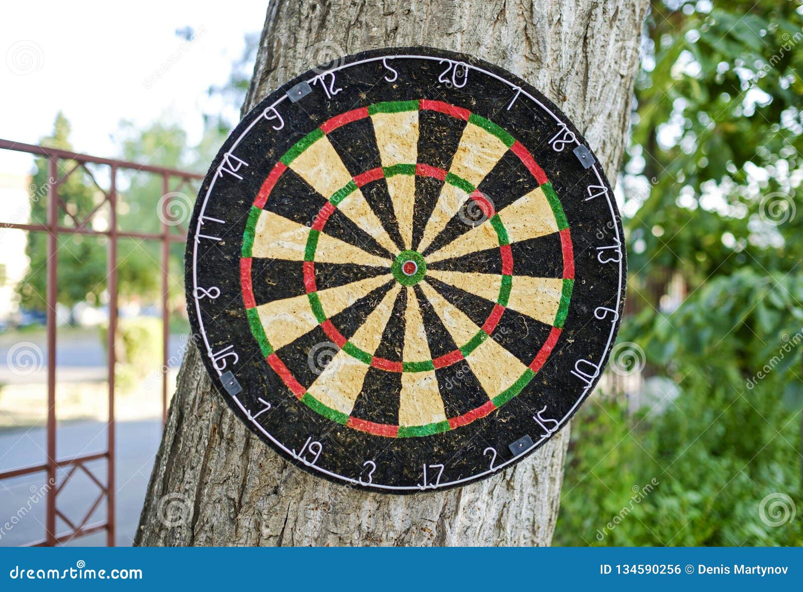 Dartboard in the Yard on the Tree 2 Stock Photo - Image of ball, grass ...