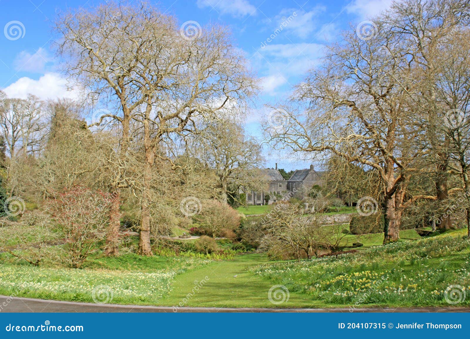 Dartington Hall and Gardens, Devon Stock Image - Image of grass ...