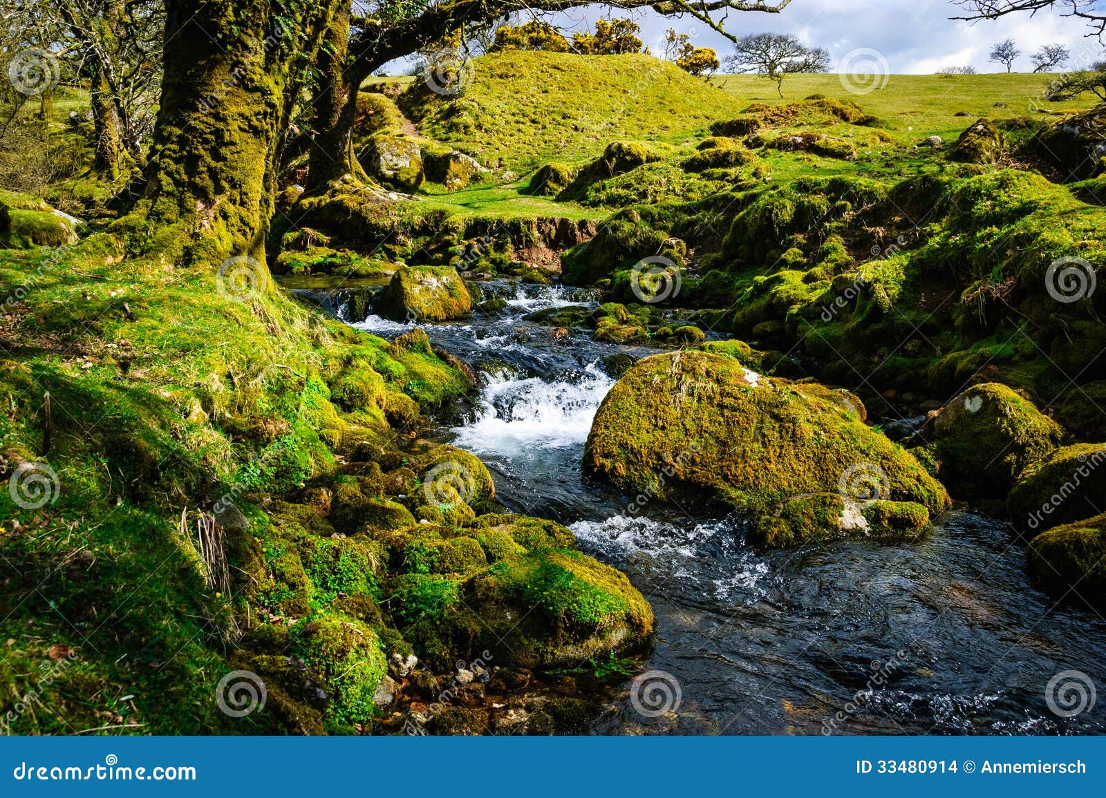 Dartmoor england river stock photo. Image of rock, park - 33480914