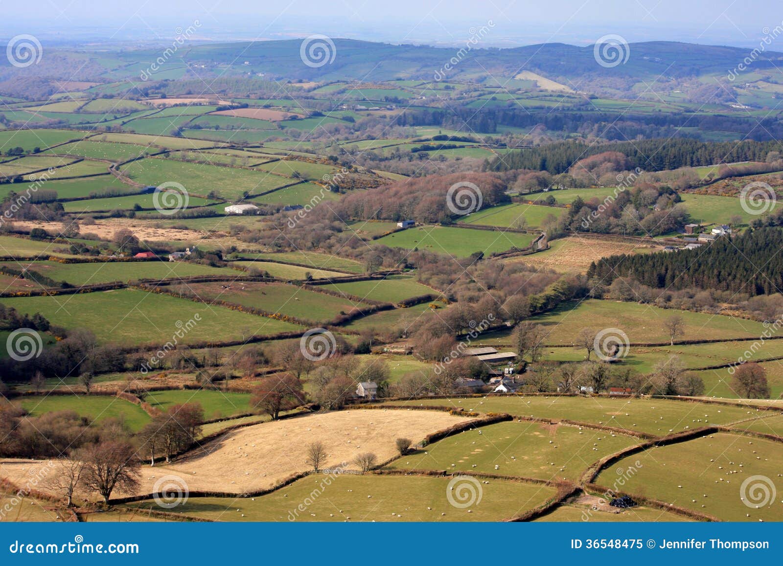 Dartmoor stock image. Image of moor, patchwork, granite - 36548475