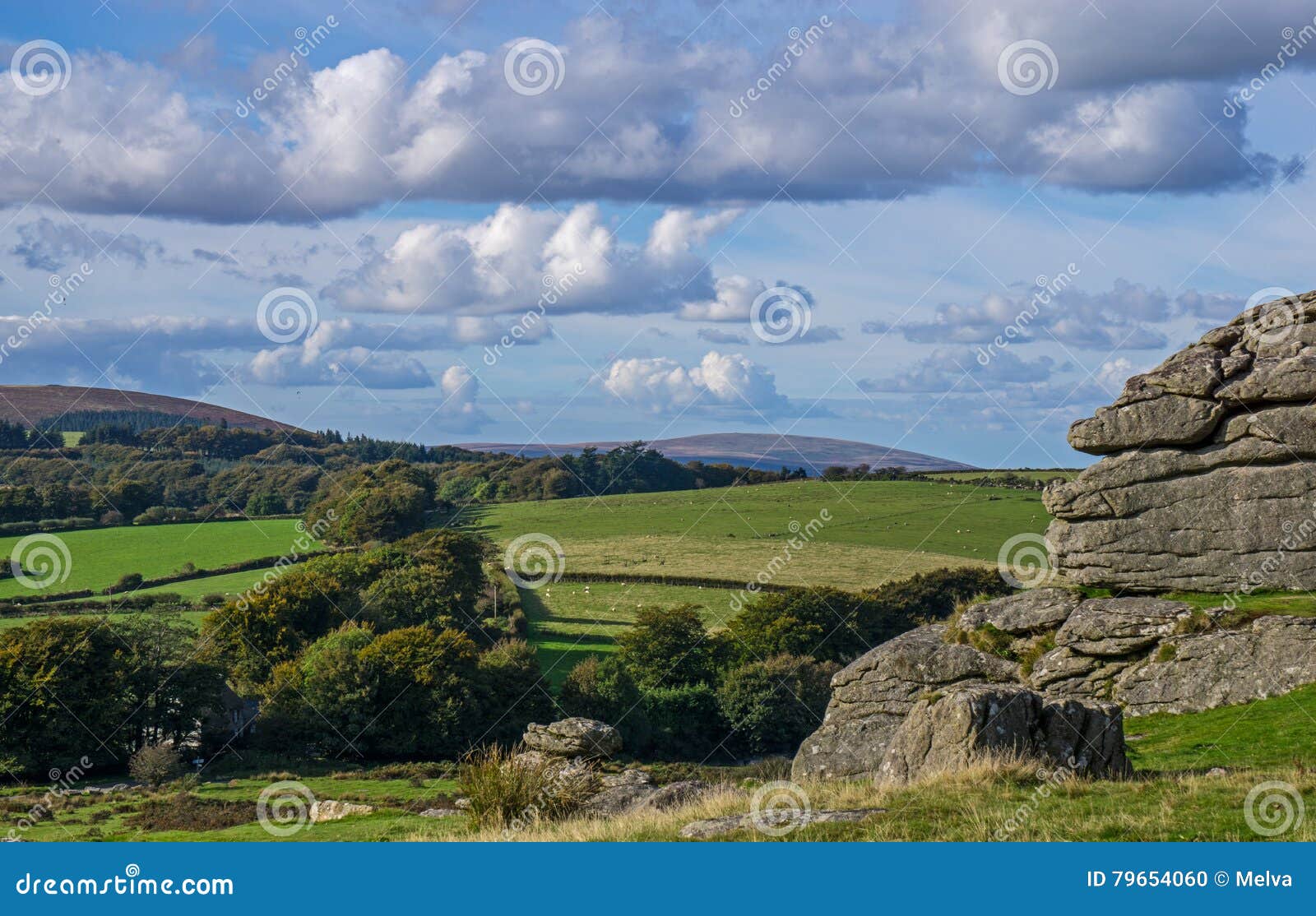Dartmoor from a Tor stock photo. Image of valley, england - 79654060