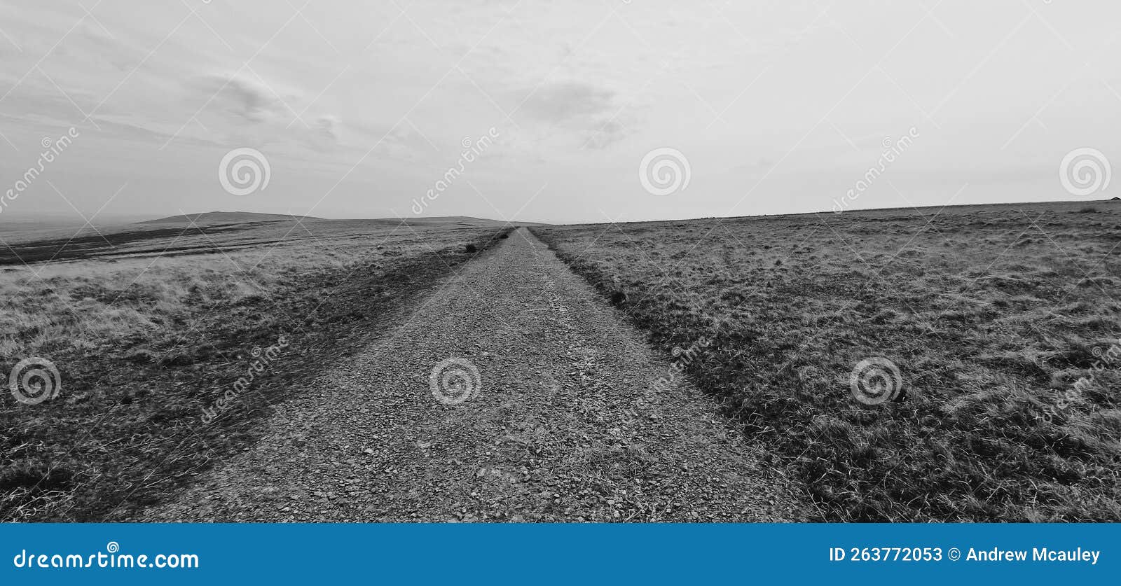 Dartmoor track stock image. Image of photograph, track - 263772053