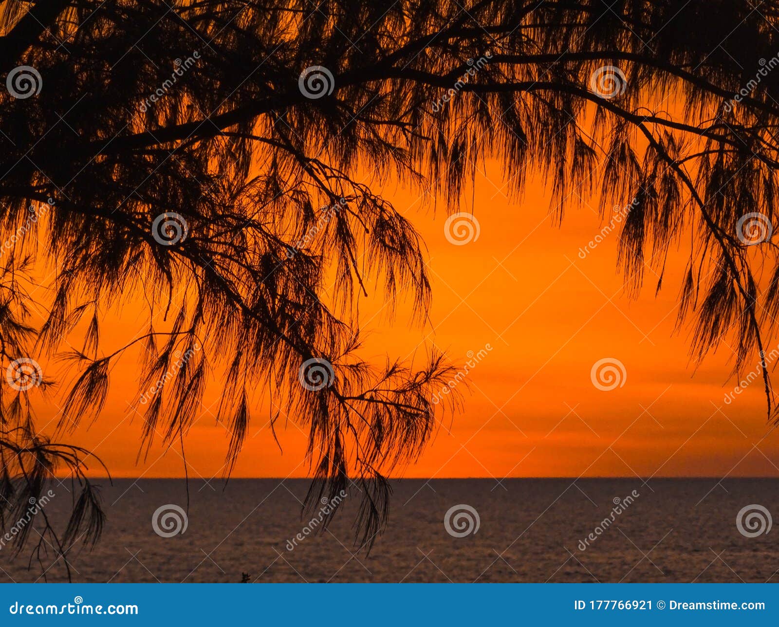 Darwin beautiful sunset stock image. Image of outdoor - 177766921