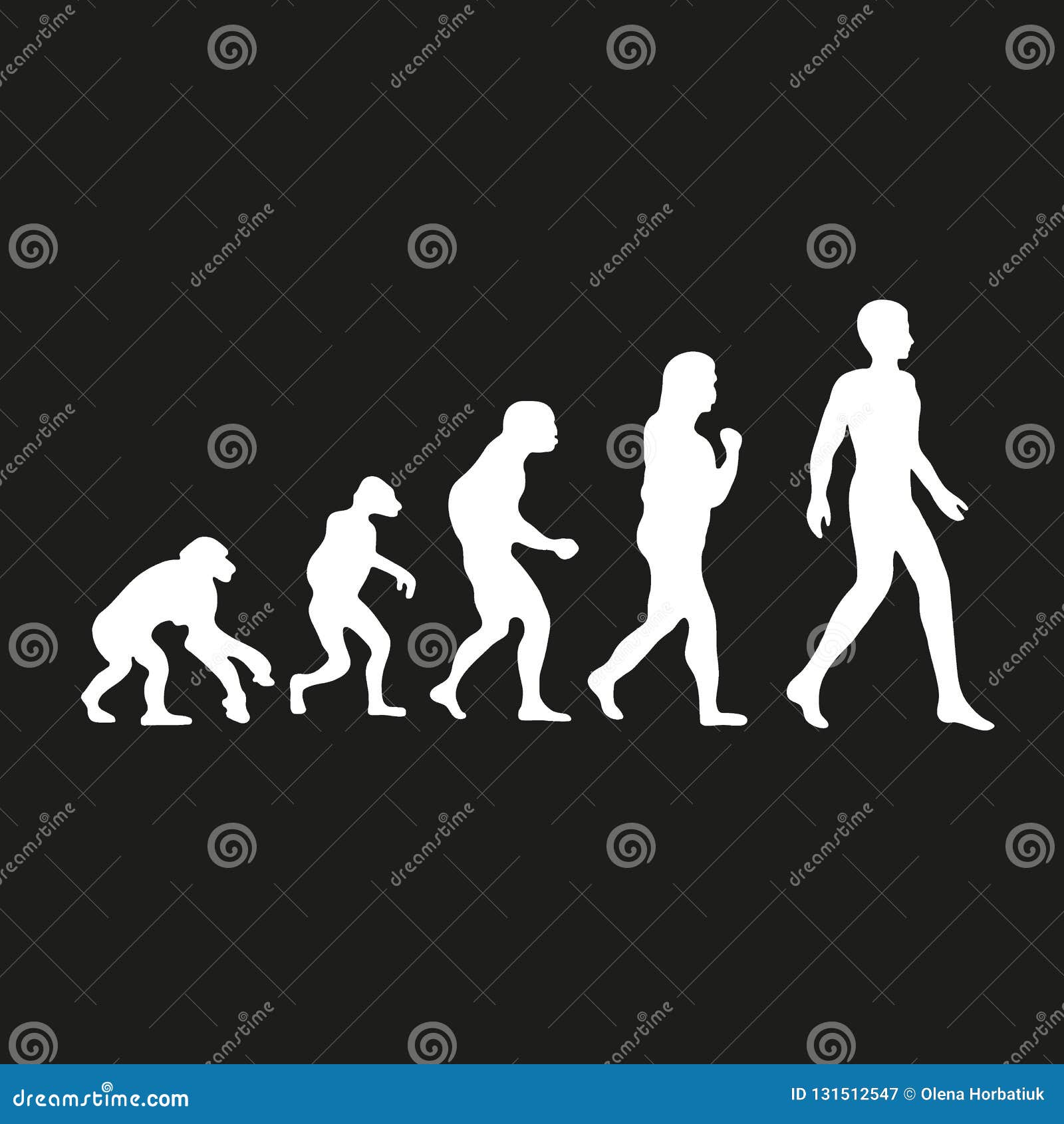 Darwin Evolution Icon Set Vector Illustration | CartoonDealer.com ...