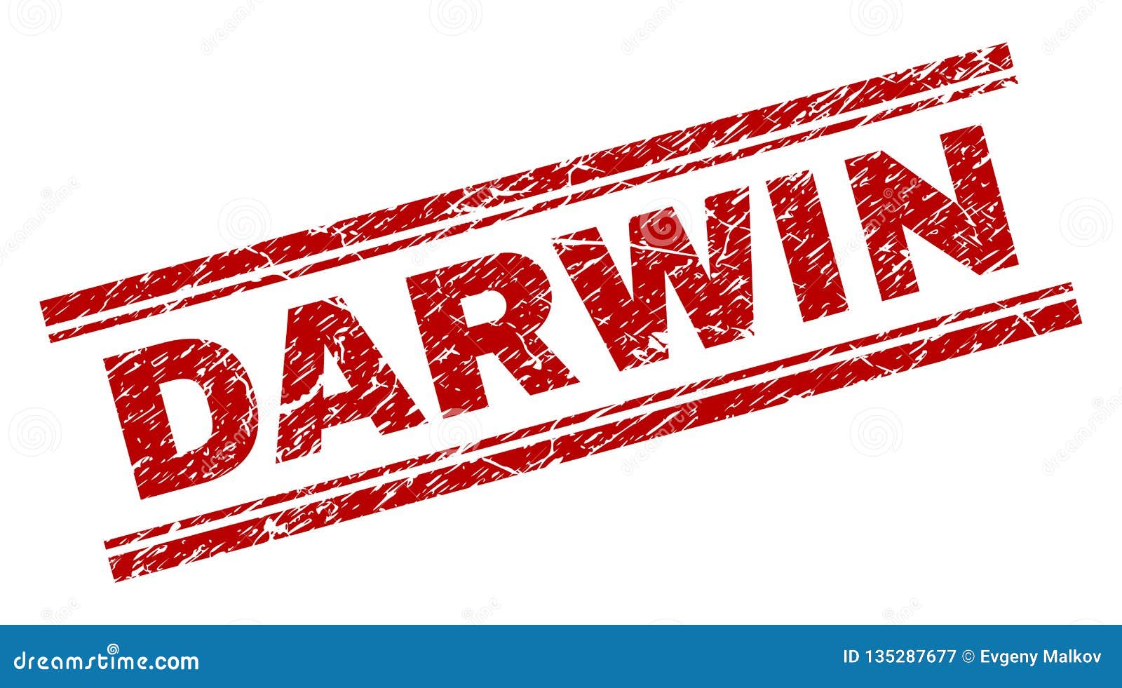 Scratched Textured DARWIN Stamp Seal Stock Vector - Illustration of ...