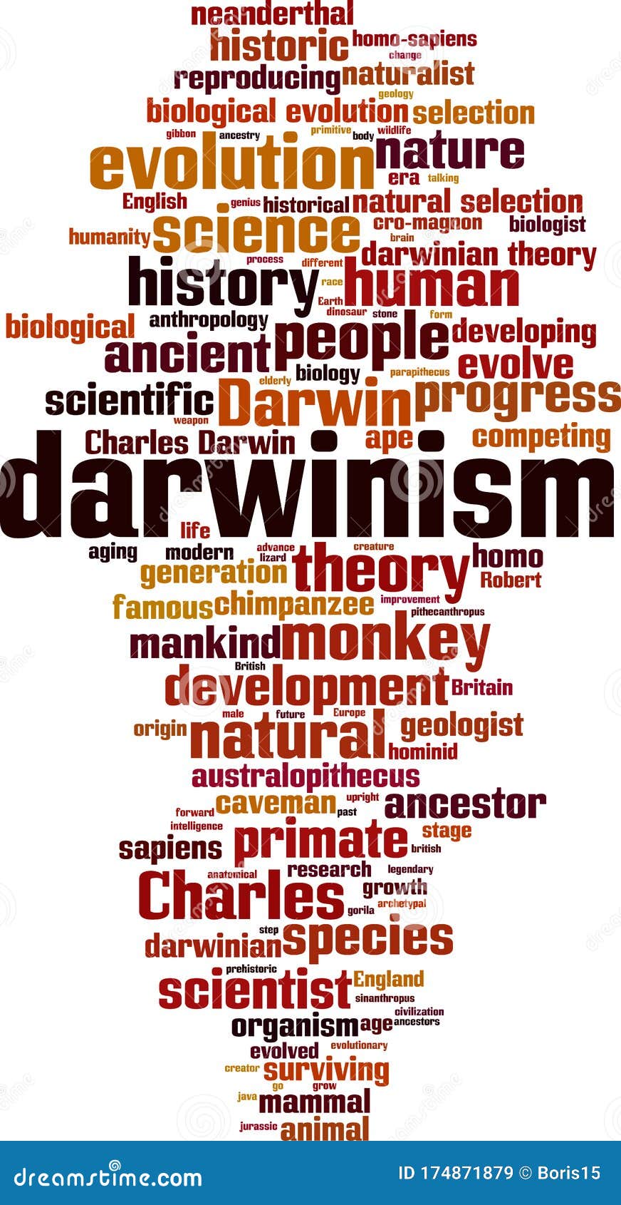 Darwinism word cloud stock vector. Illustration of selection - 174871879