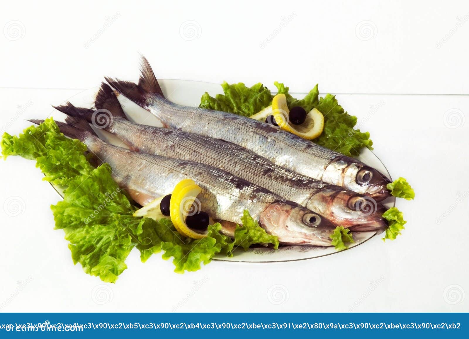 Das baikal-omul stockfoto. Bild von inhalt, blätter, platte - 30830340