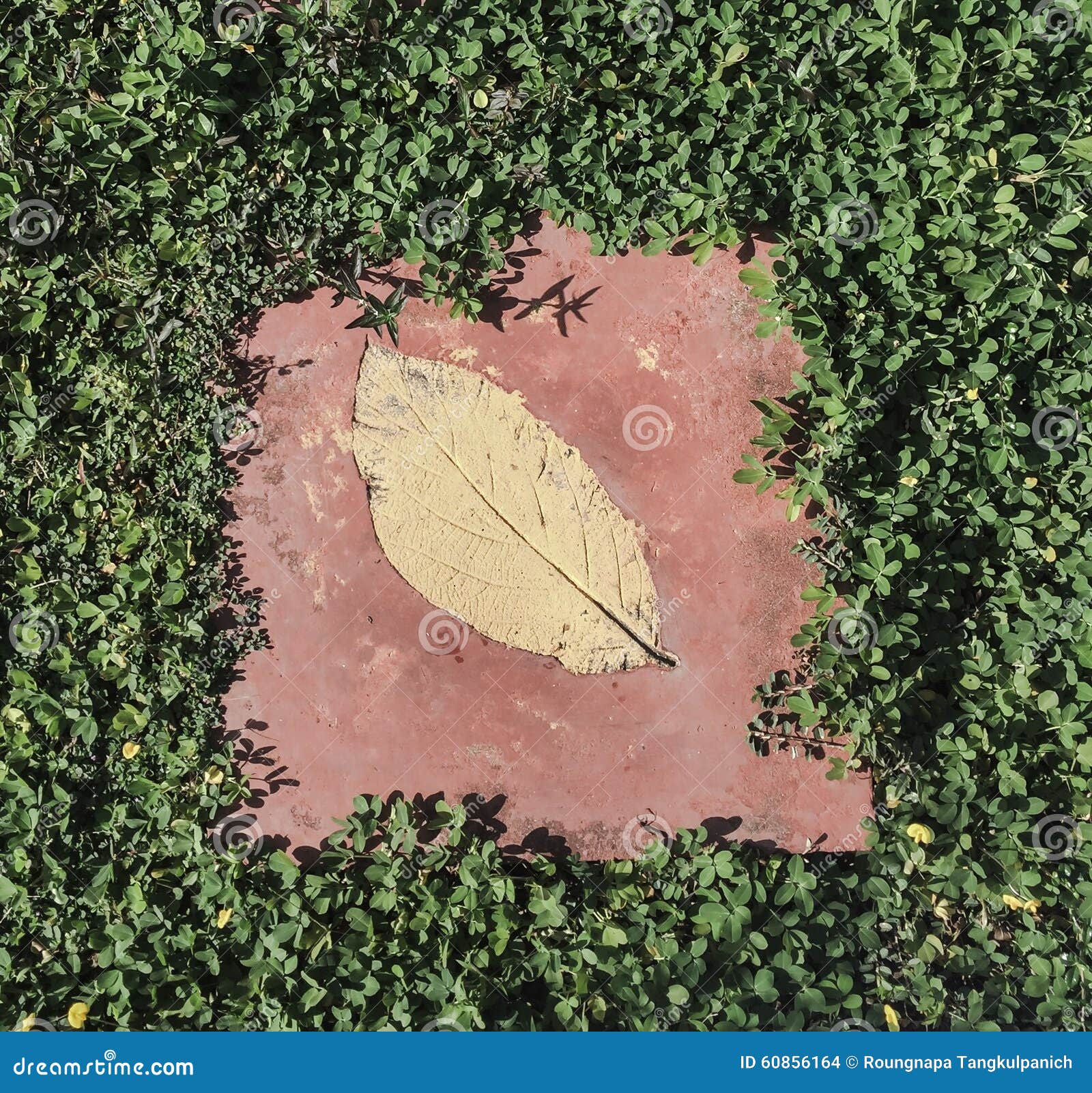 Das Blatt stockfoto. Bild von jobstep, gedruckt, betrieb - 60856164