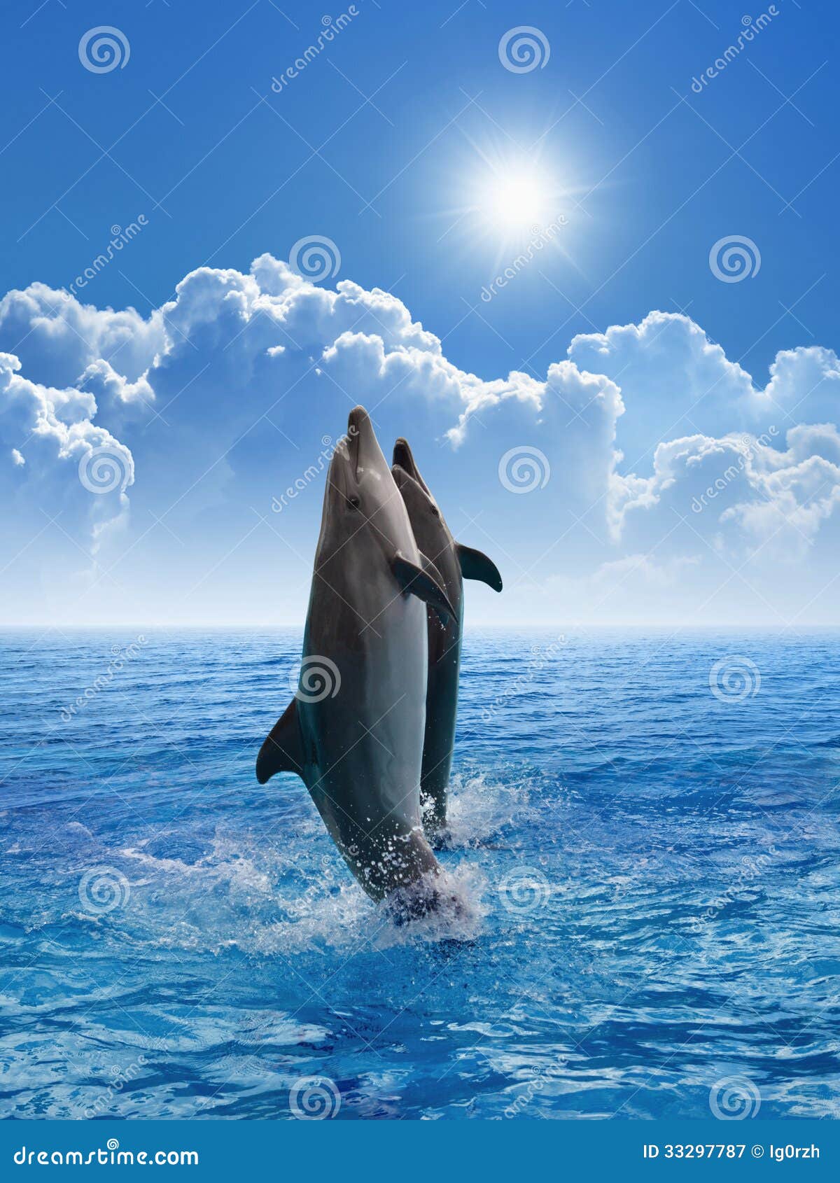 Das Delphinspringen stockbild. Bild von delphin, wild - 33297787