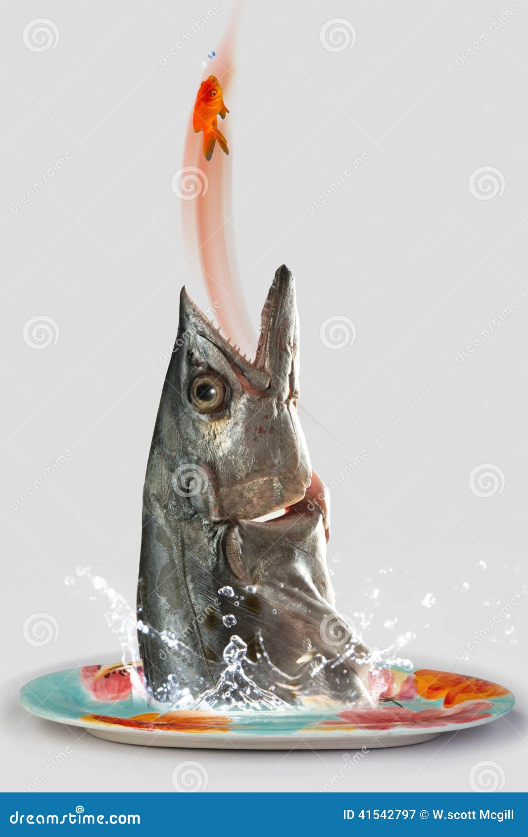 Das Fisch-Springen stockbild. Bild von fischen, teller - 41542797