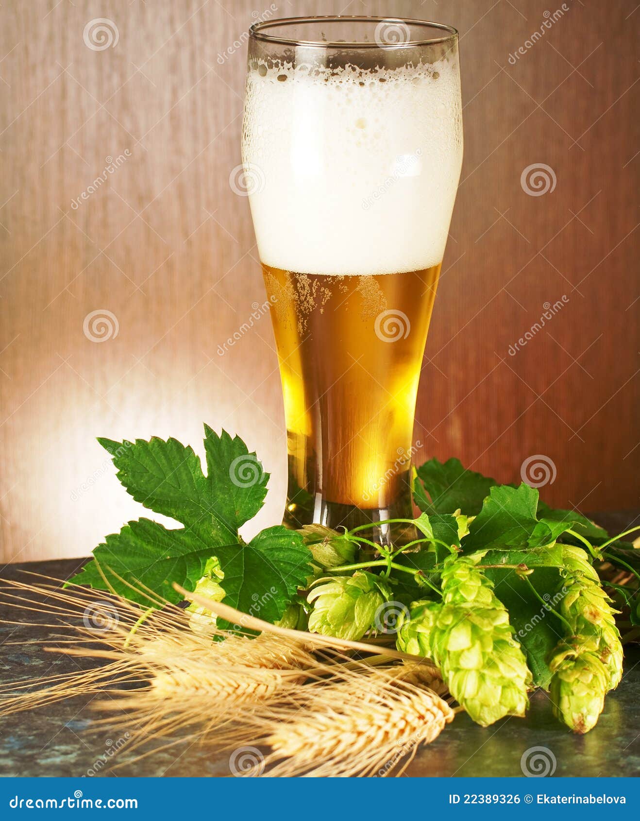 Das Glas des Bieres stockfoto. Bild von brauerei, bier - 22389326