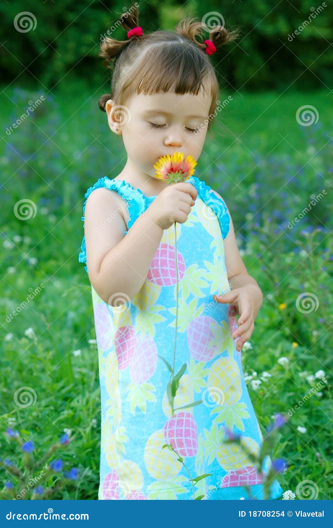 Das Kind Eine Riechende Blume Stockfoto - Bild von öffnung, kindheit ...