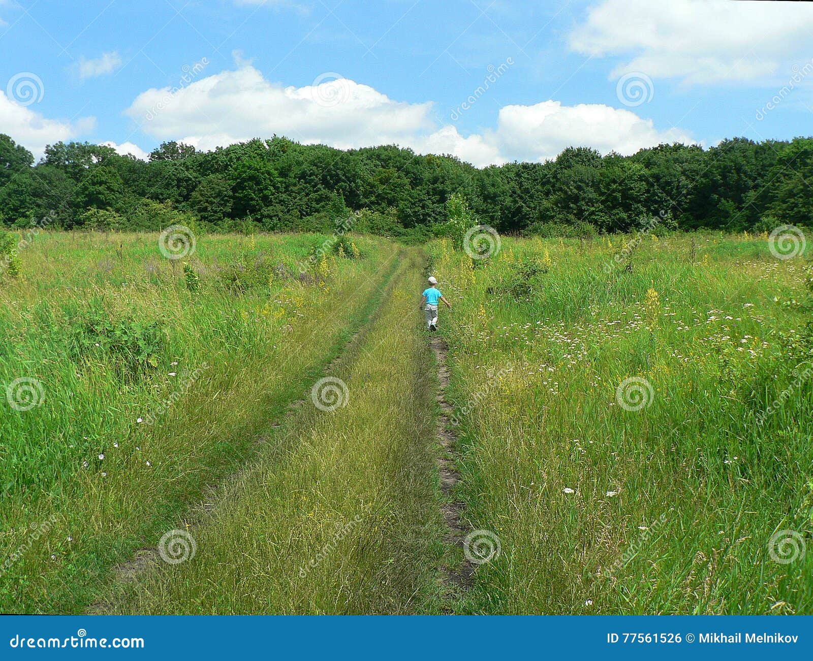 Das Kind Geht Weg Auf Das Grüne Feld Stockfoto - Bild von feld ...
