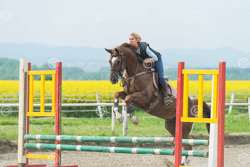 Das Mädchen Springend Mit Pferd Stockfoto - Bild von springen ...