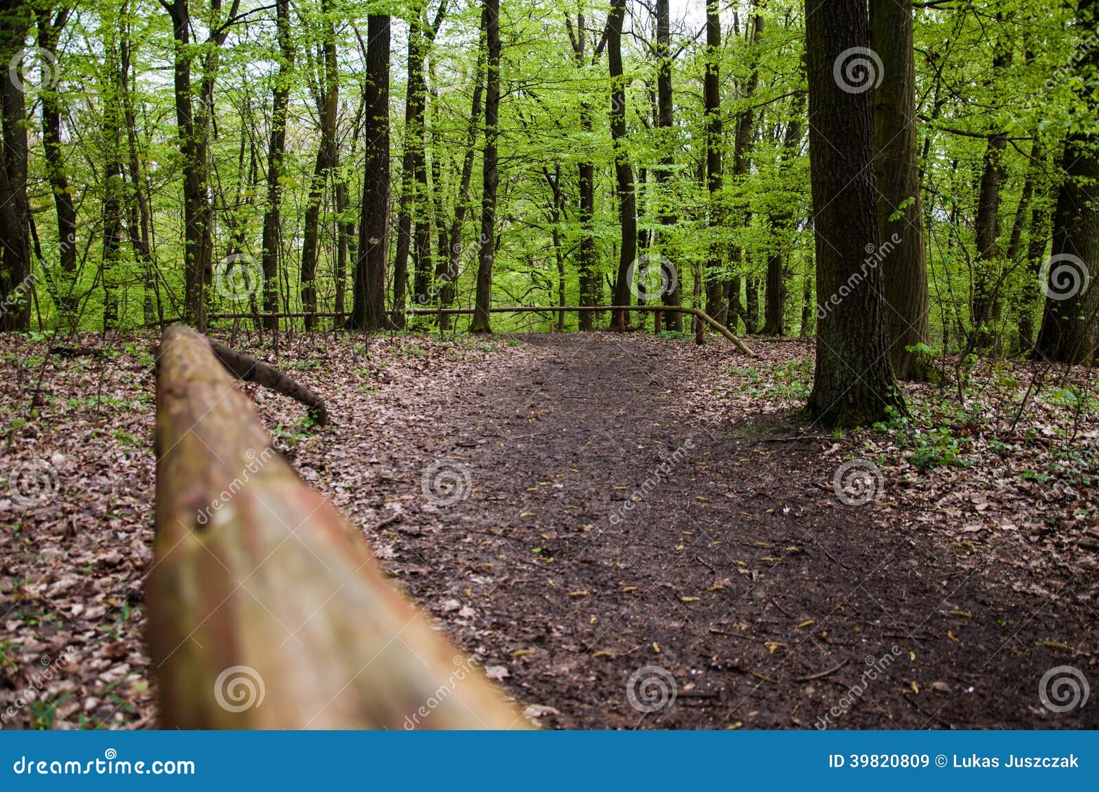 Das Morasko-Meteorit-Naturreservat Stockbild - Bild von stein, polen ...