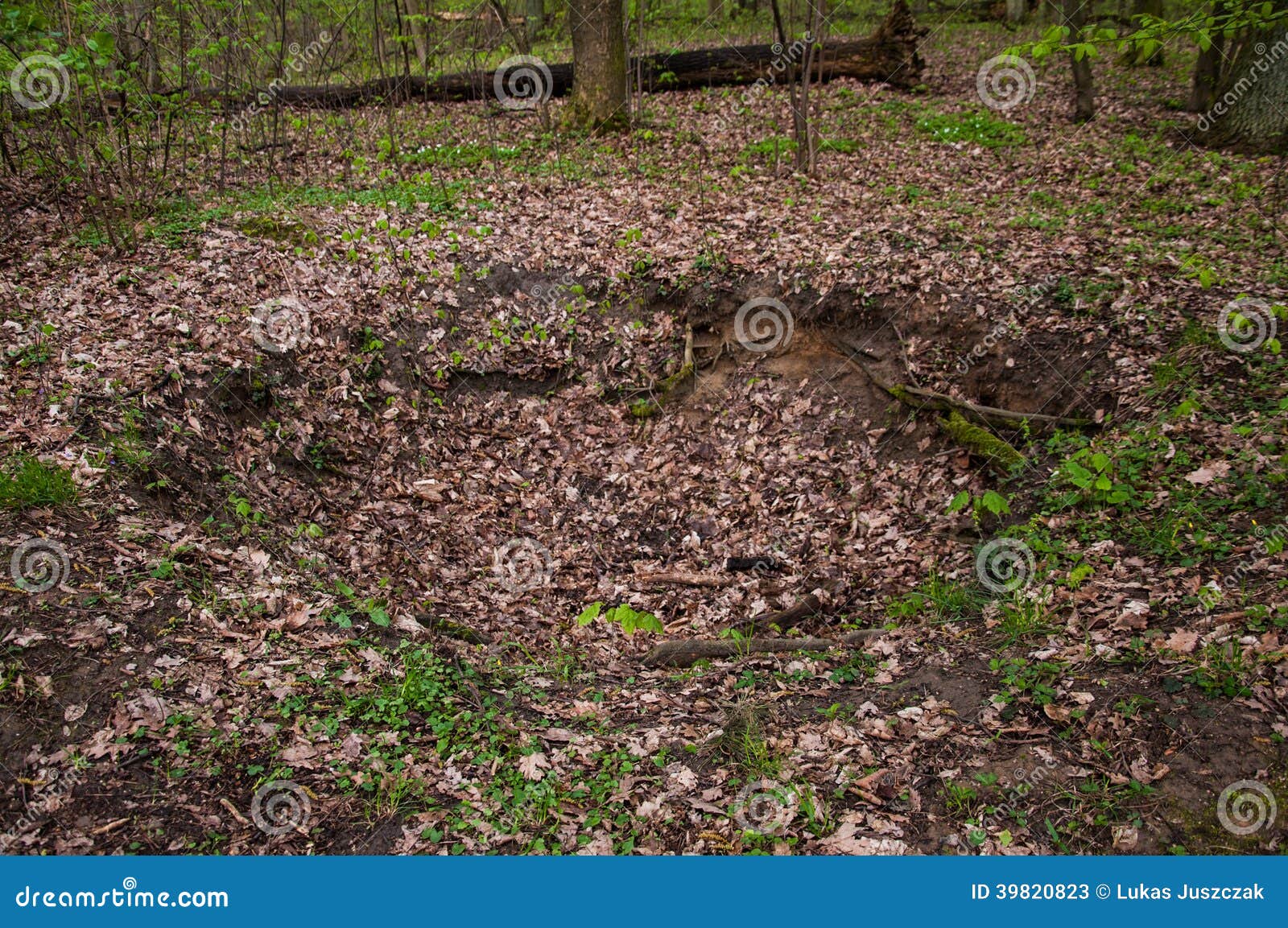 Das Morasko-Meteorit-Naturreservat Stockbild - Bild von stein, szene ...