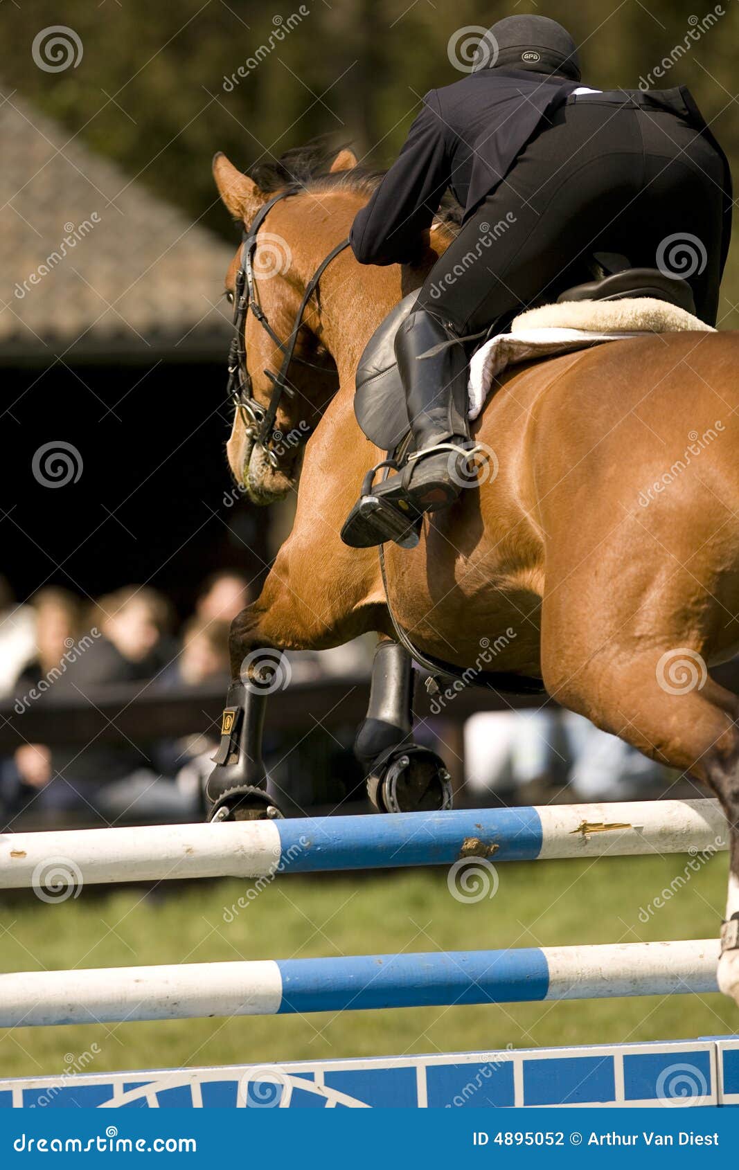 Das Pferd 017 springend stockfoto. Bild von aktivität - 4895052