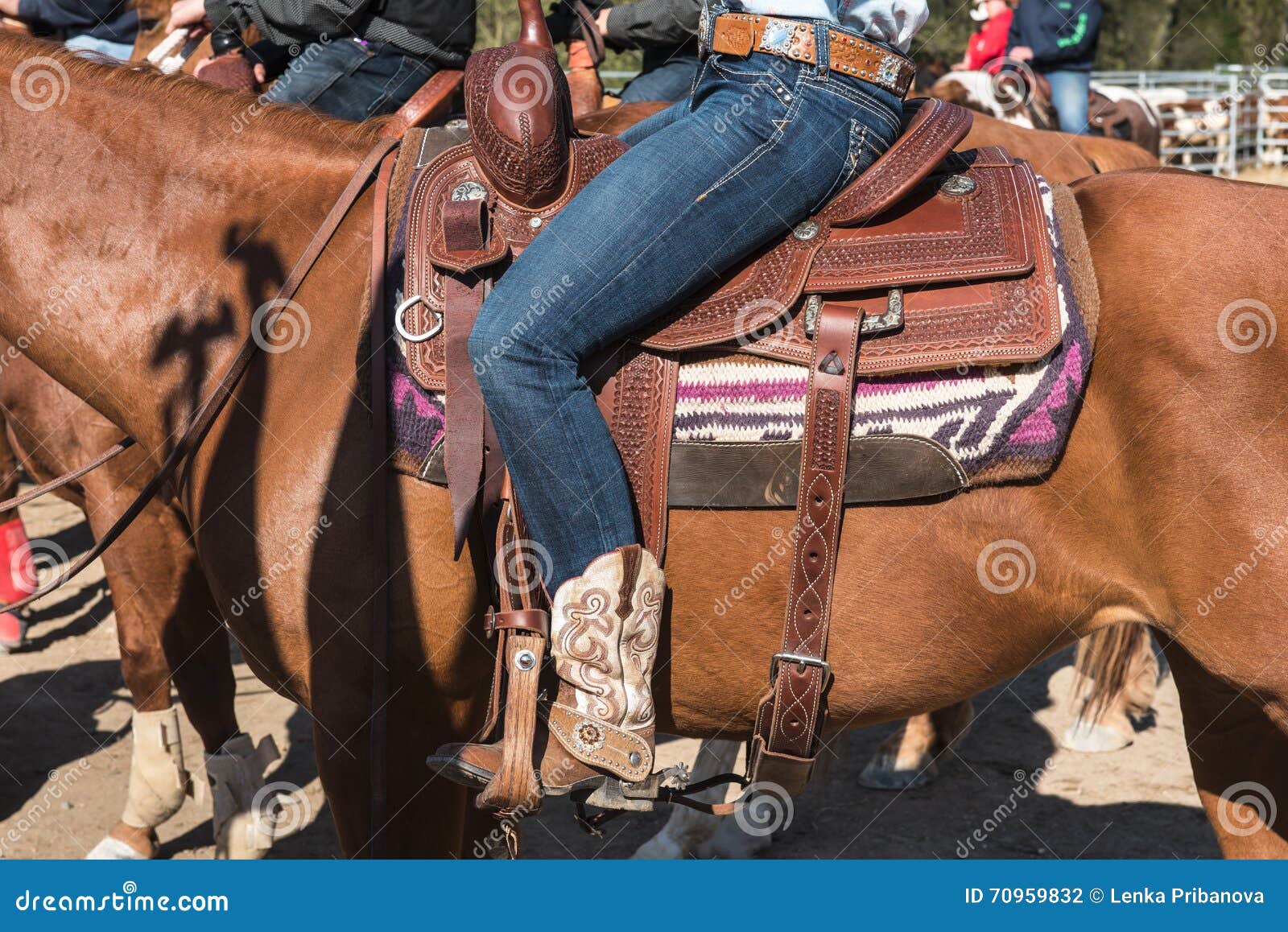 Das Pferd mit Sattel stockfoto. Bild von pferde, sattel - 70959832