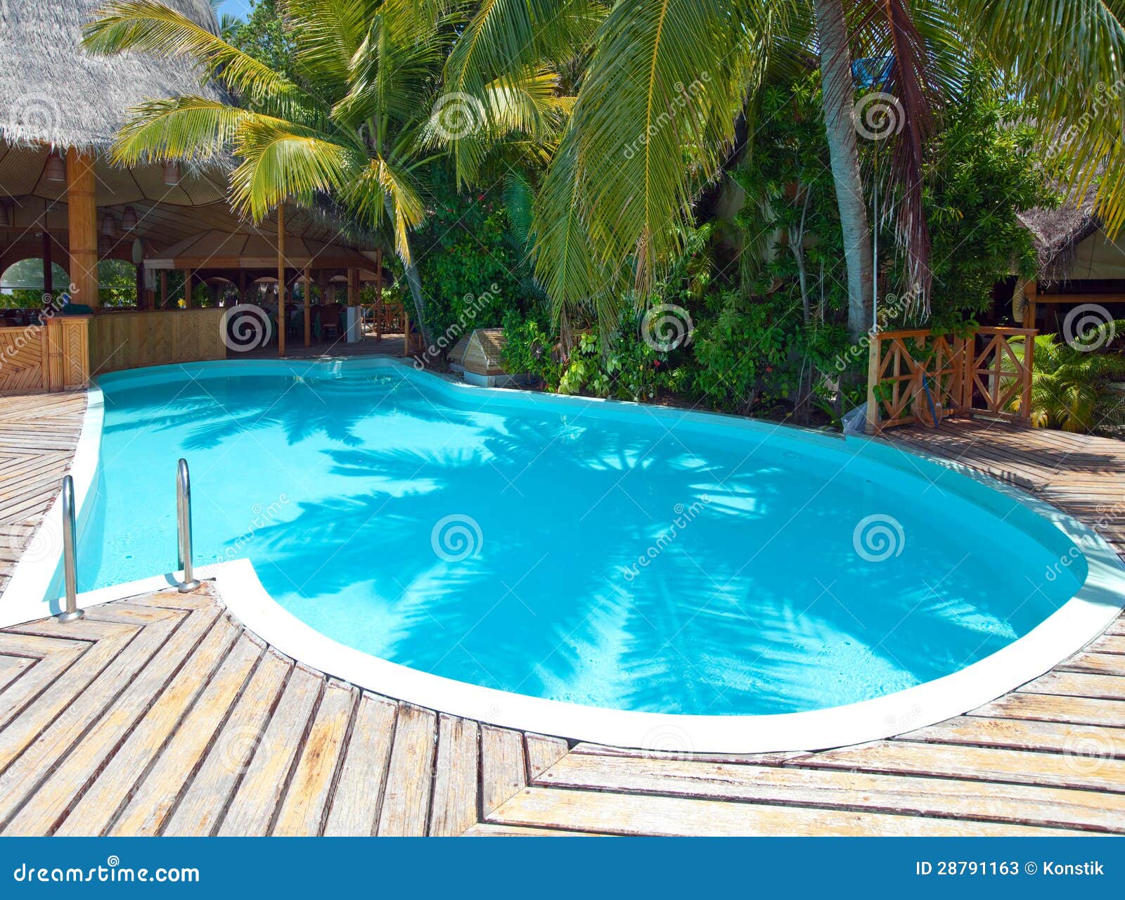 Das Pool unter Palmen stockbild. Bild von schwimmbad - 28791163