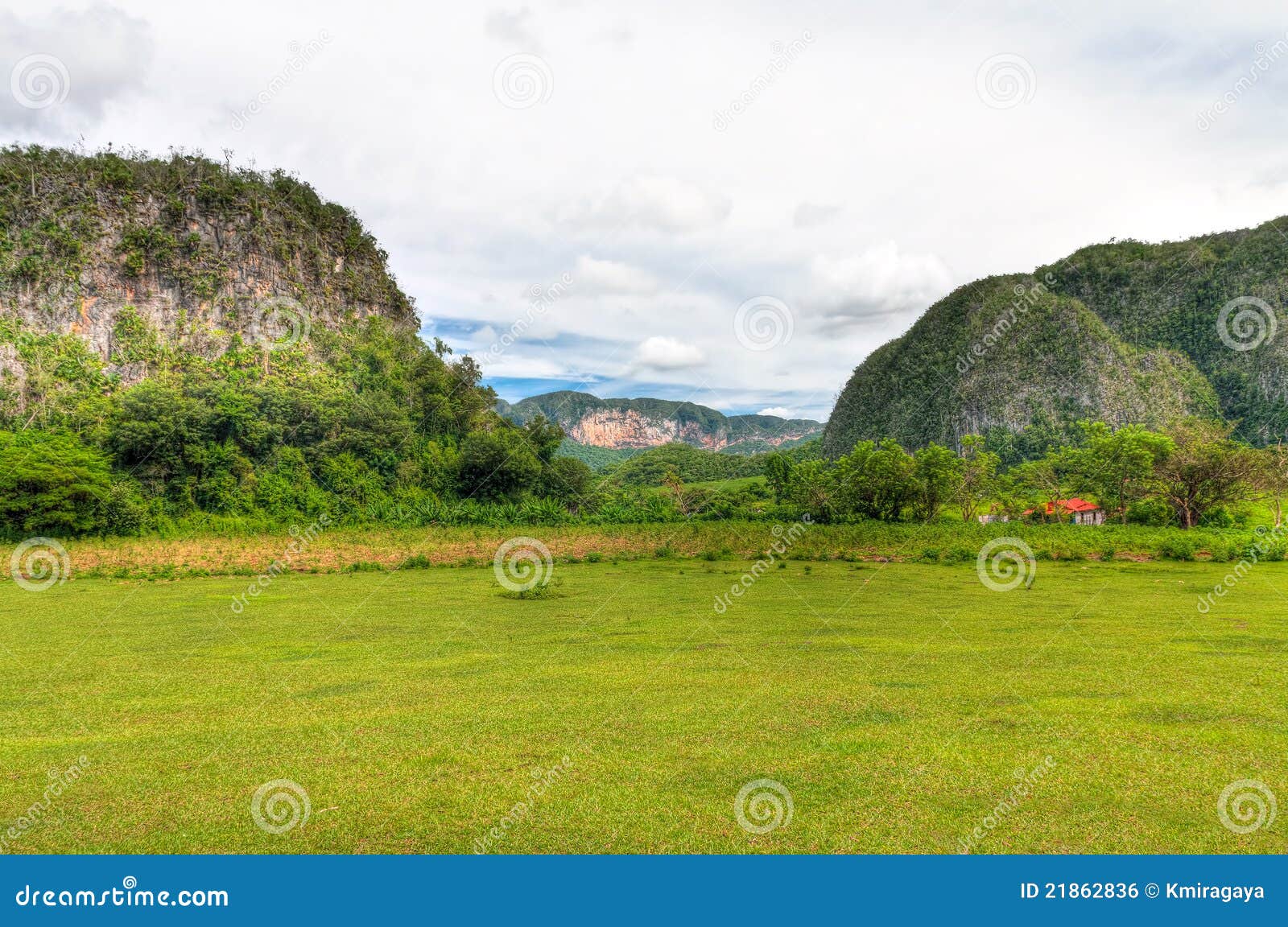 Das Vinales Tal in Kuba stockfoto. Bild von feld, horizontal - 21862836
