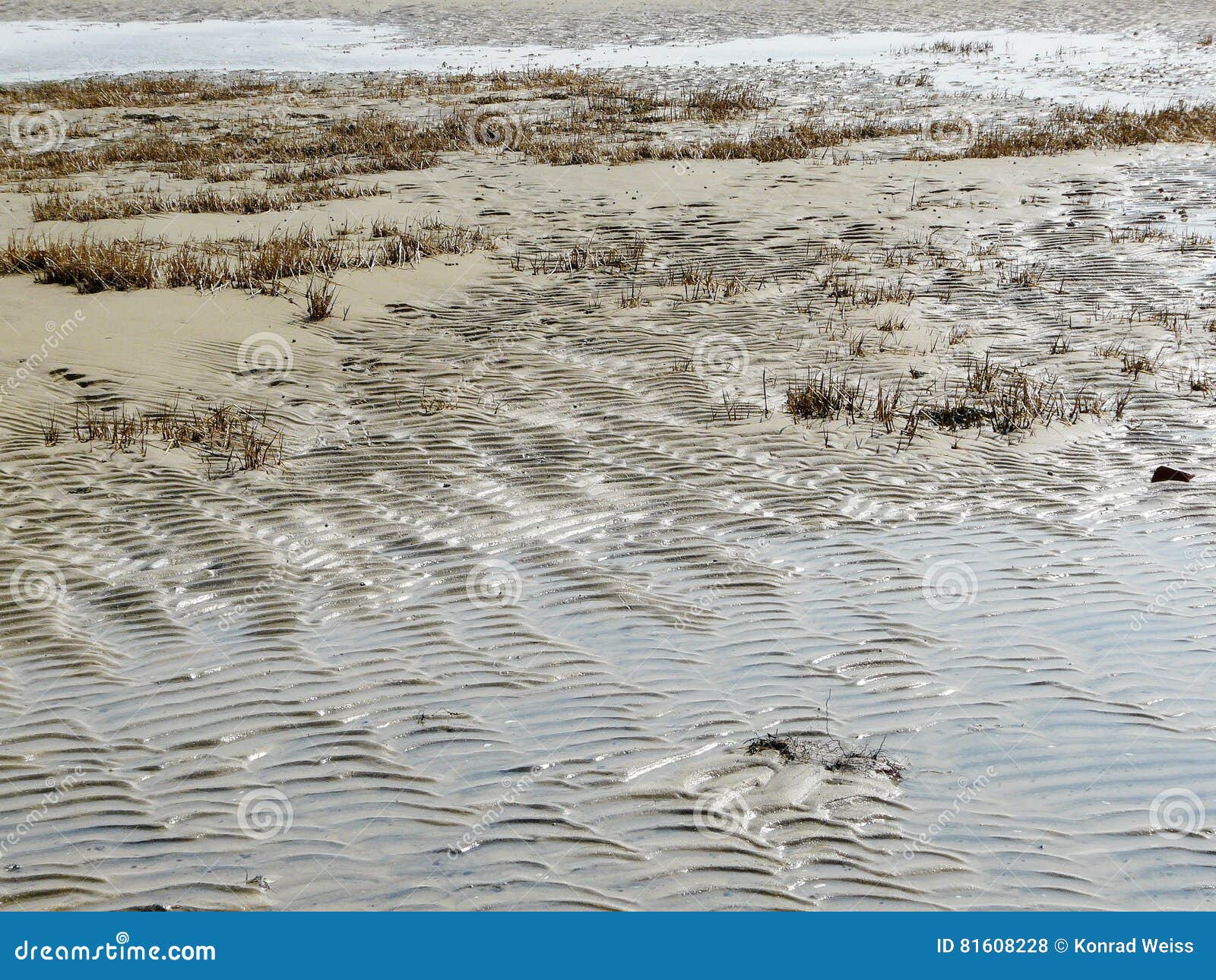 Das Wadden-Meer Vor Der Insel Von Sylt Bei Ebbe Stockfoto - Bild von ...