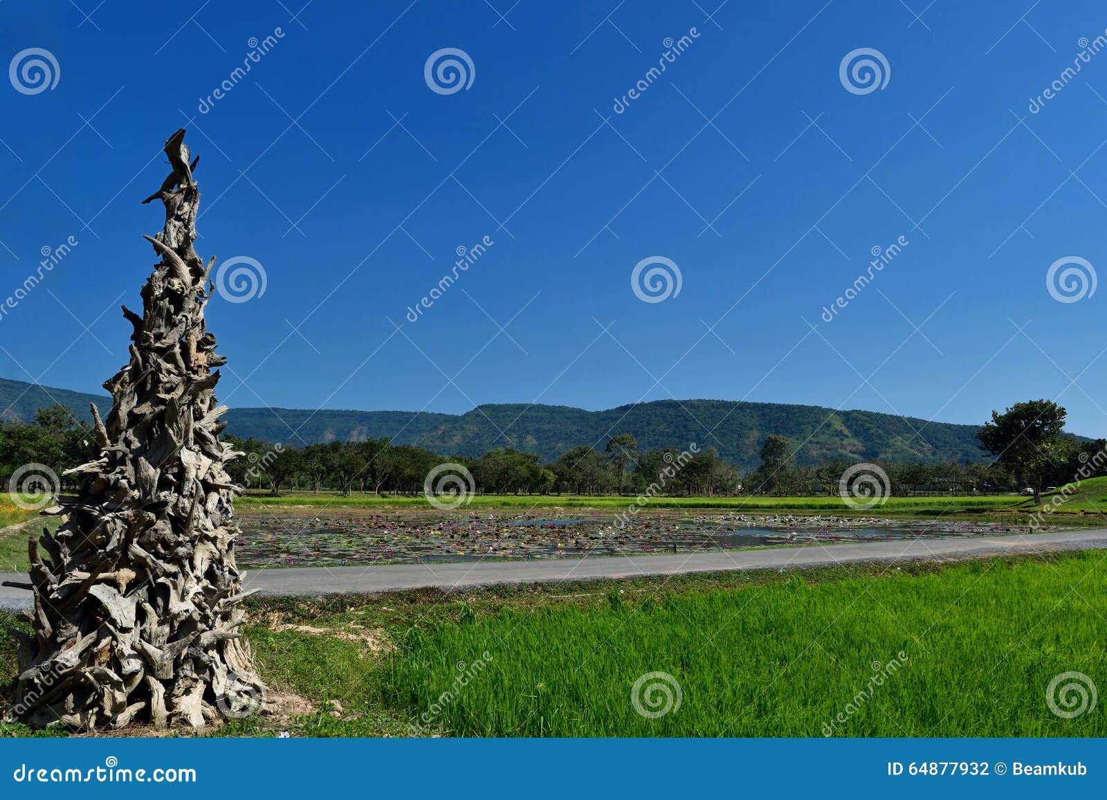Dasada resort stock photo. Image of bright, grass, summer - 64877932