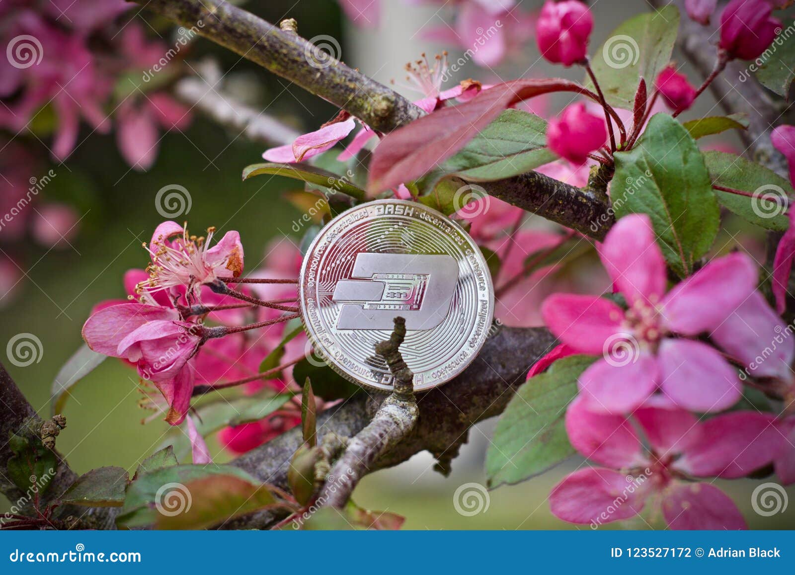 Dash coin - silver stock photo. Image of cash, virtual - 123527172